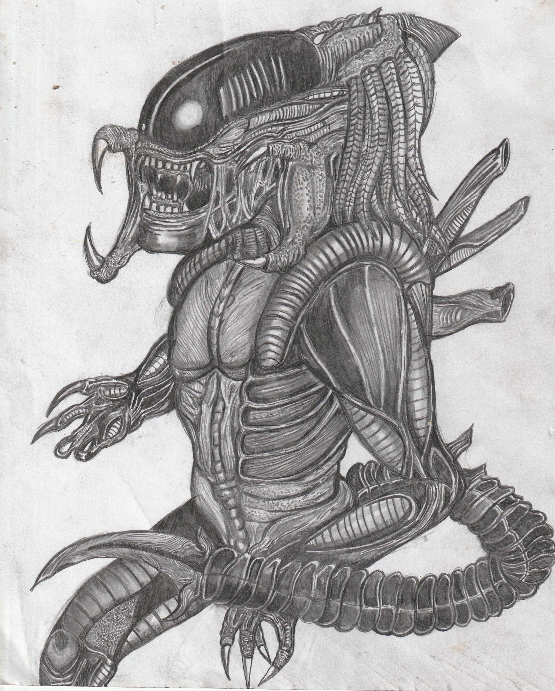 predalien drawing