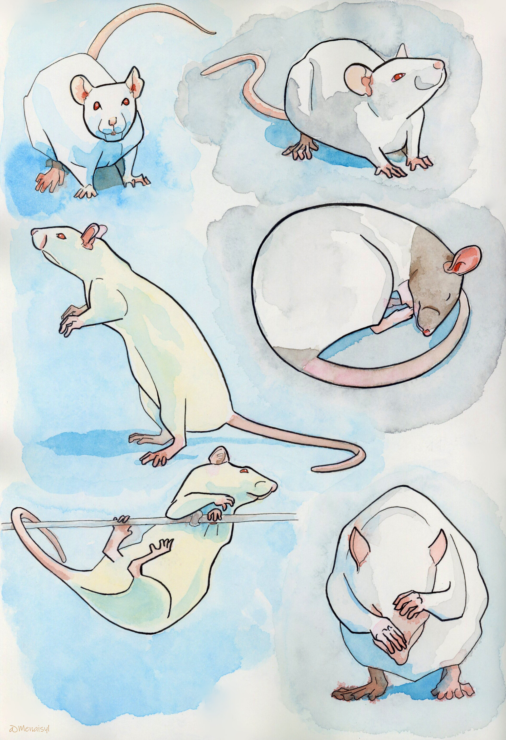 ArtStation - Ratty [Inktober52 28]