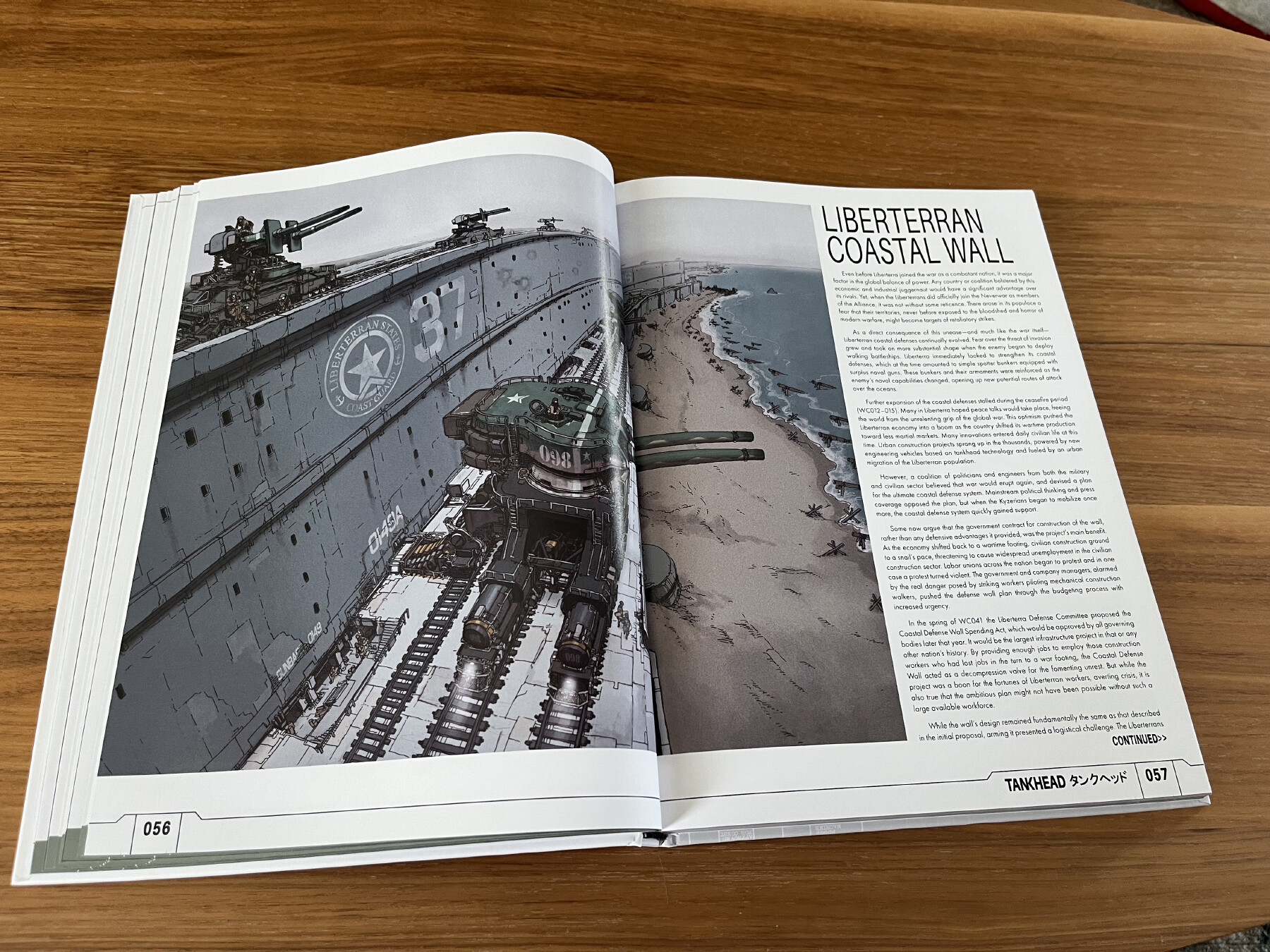 Emerson Tung - Light Tankhead Ashigaru