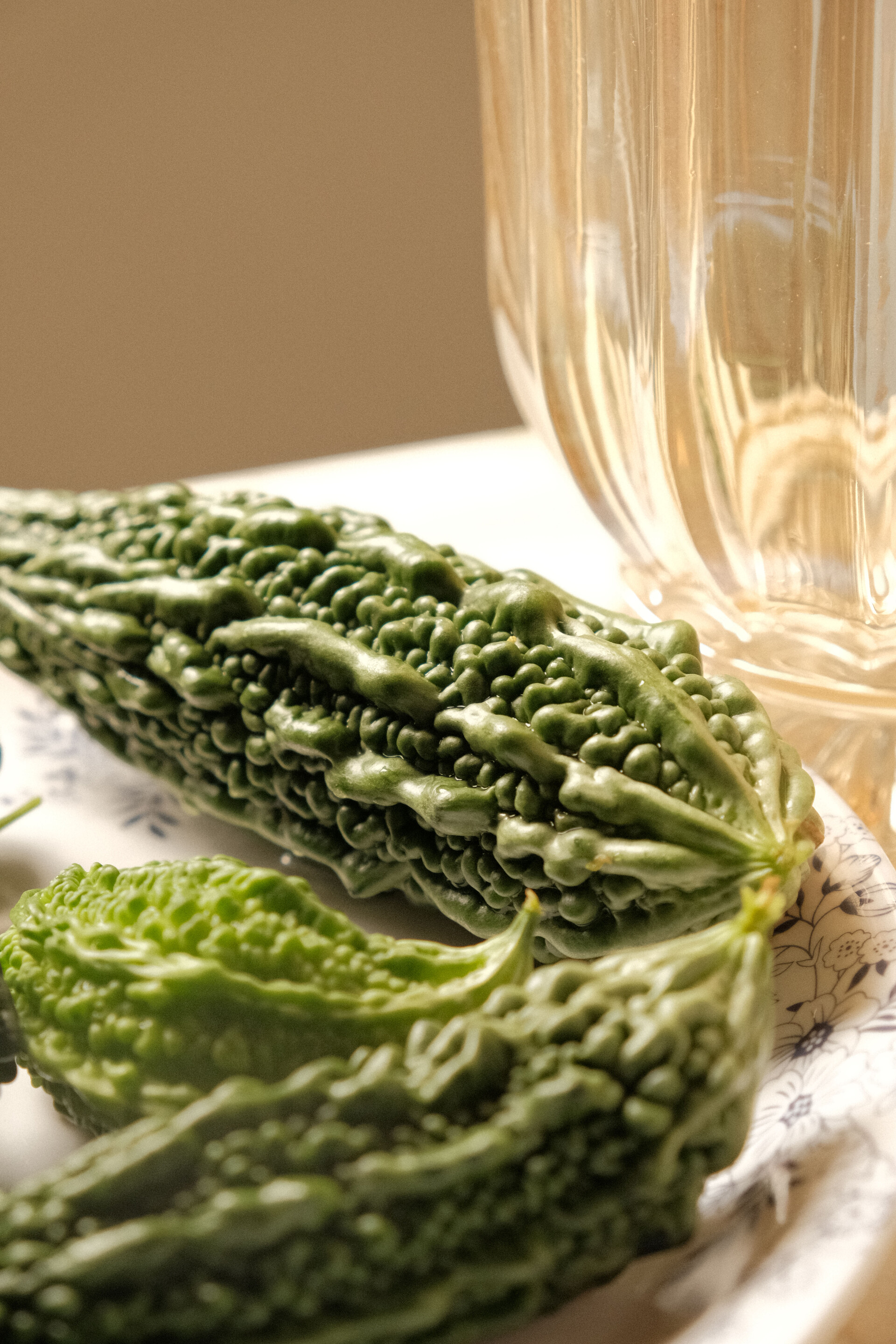 ArtStation - Bitter Gourd