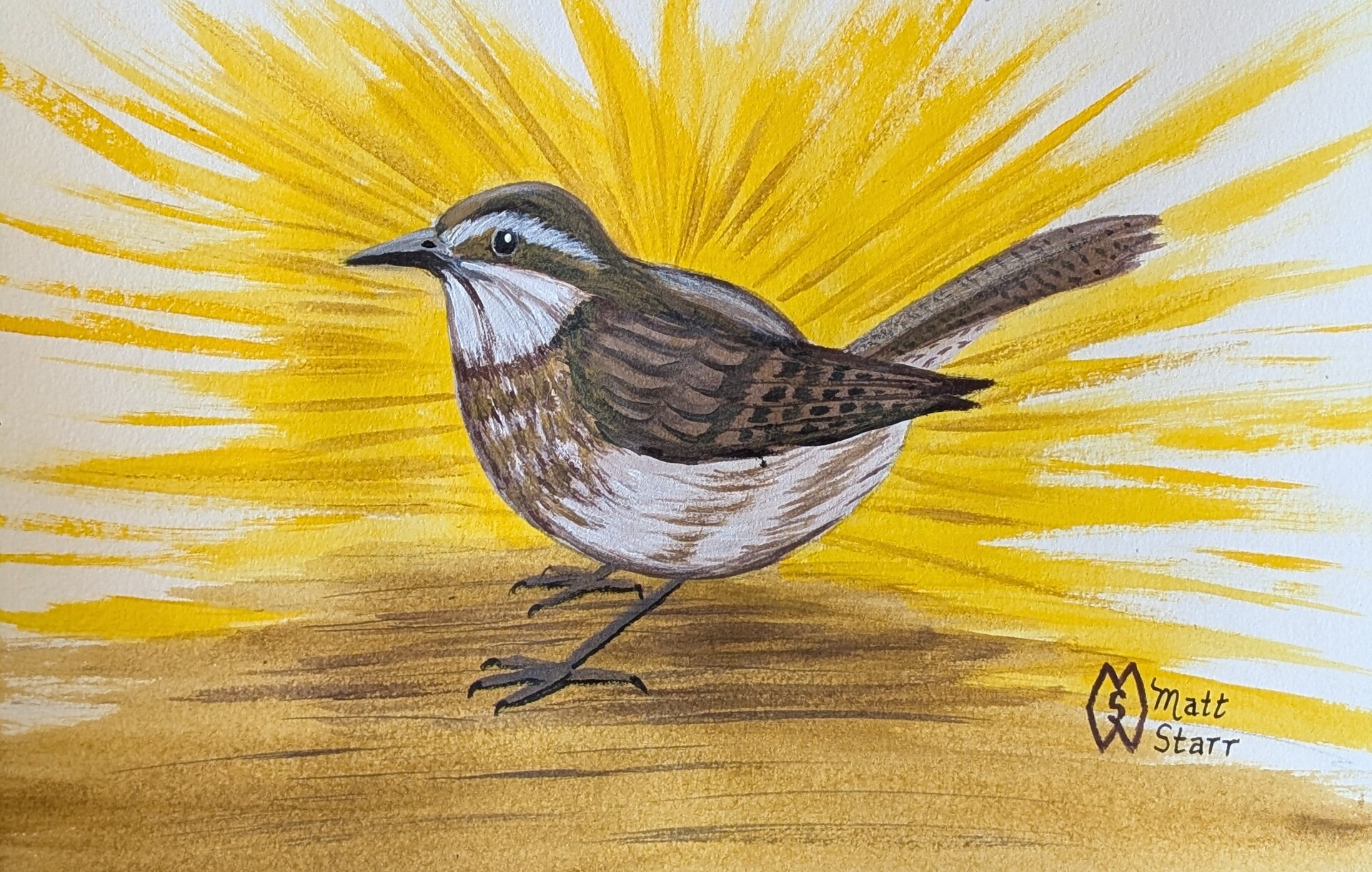 ArtStation - Carolina wren at sunrise