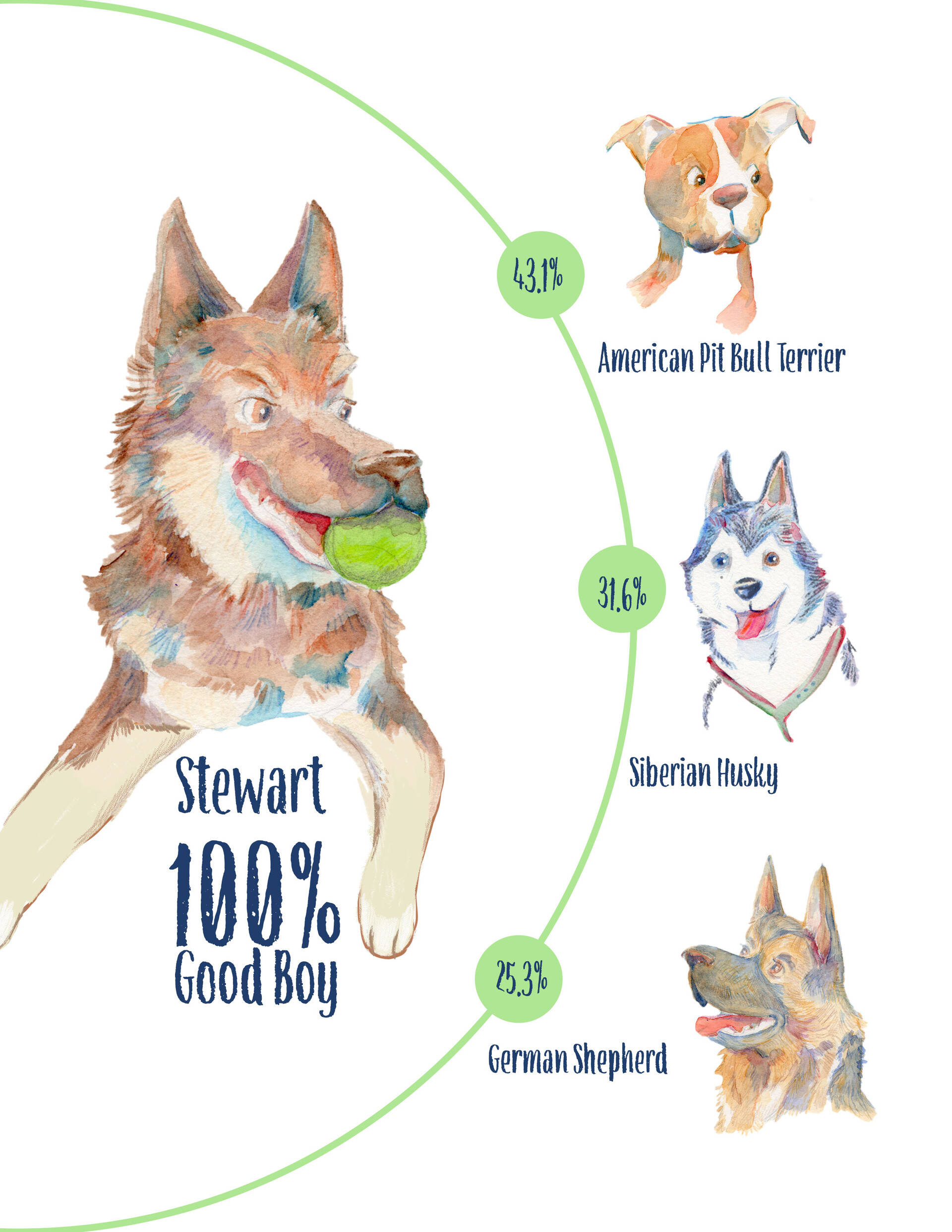 ArtStation - Embark DNA Results Illustrated