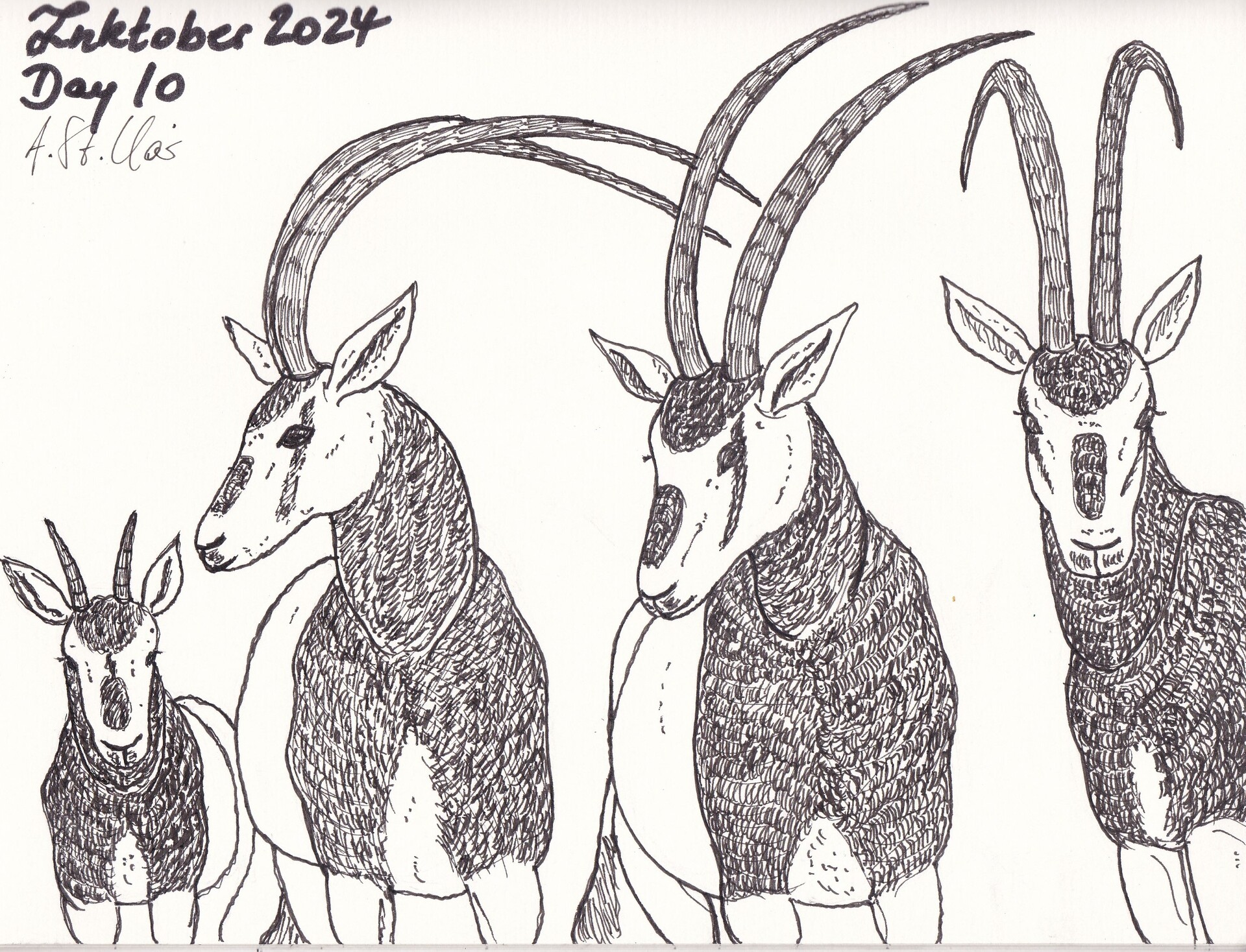 ArtStation - #Inktober 2024 - Day 10 Nomadic
