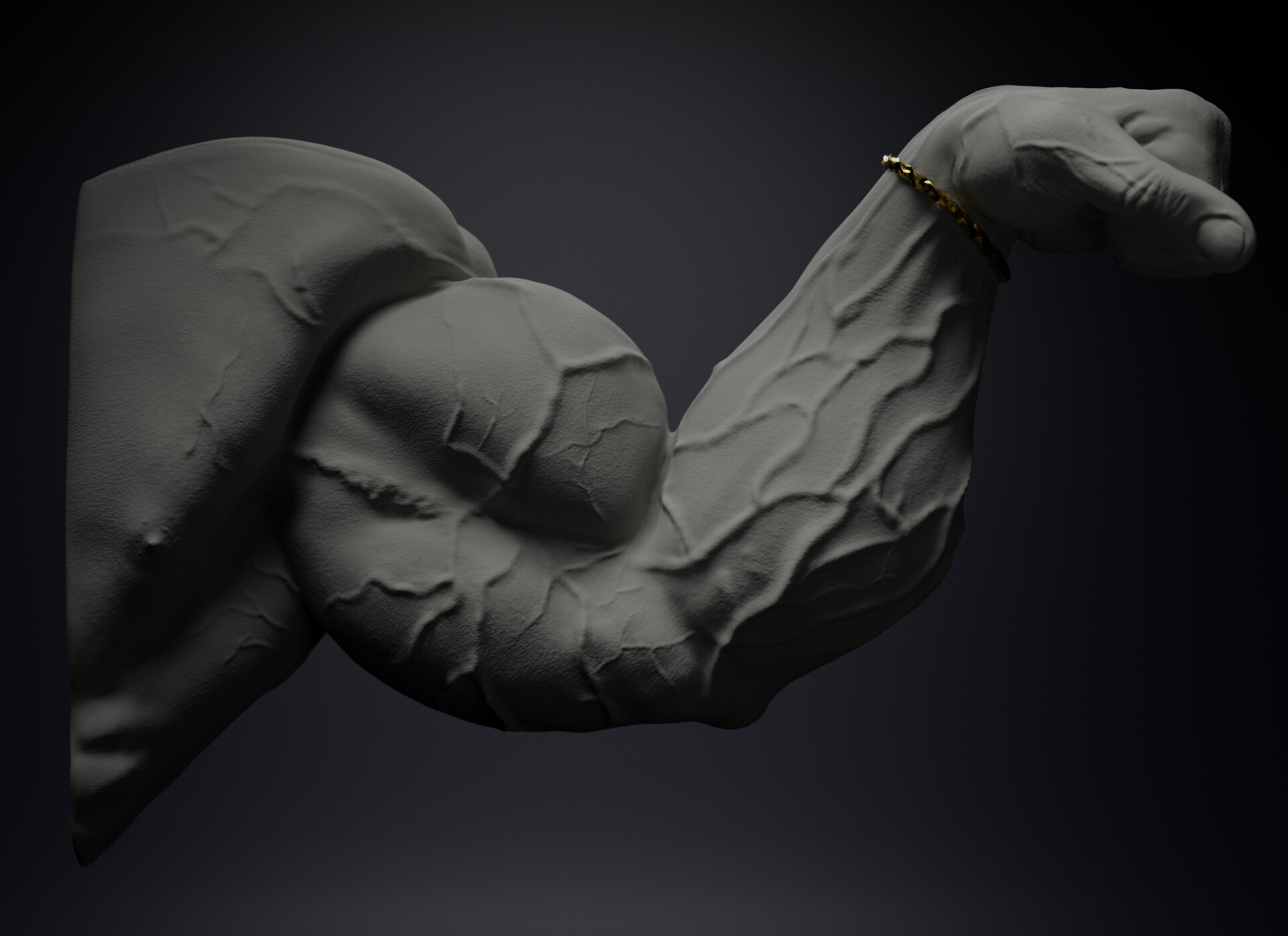 ArtStation - Bodybuilder Arms - Anatomy