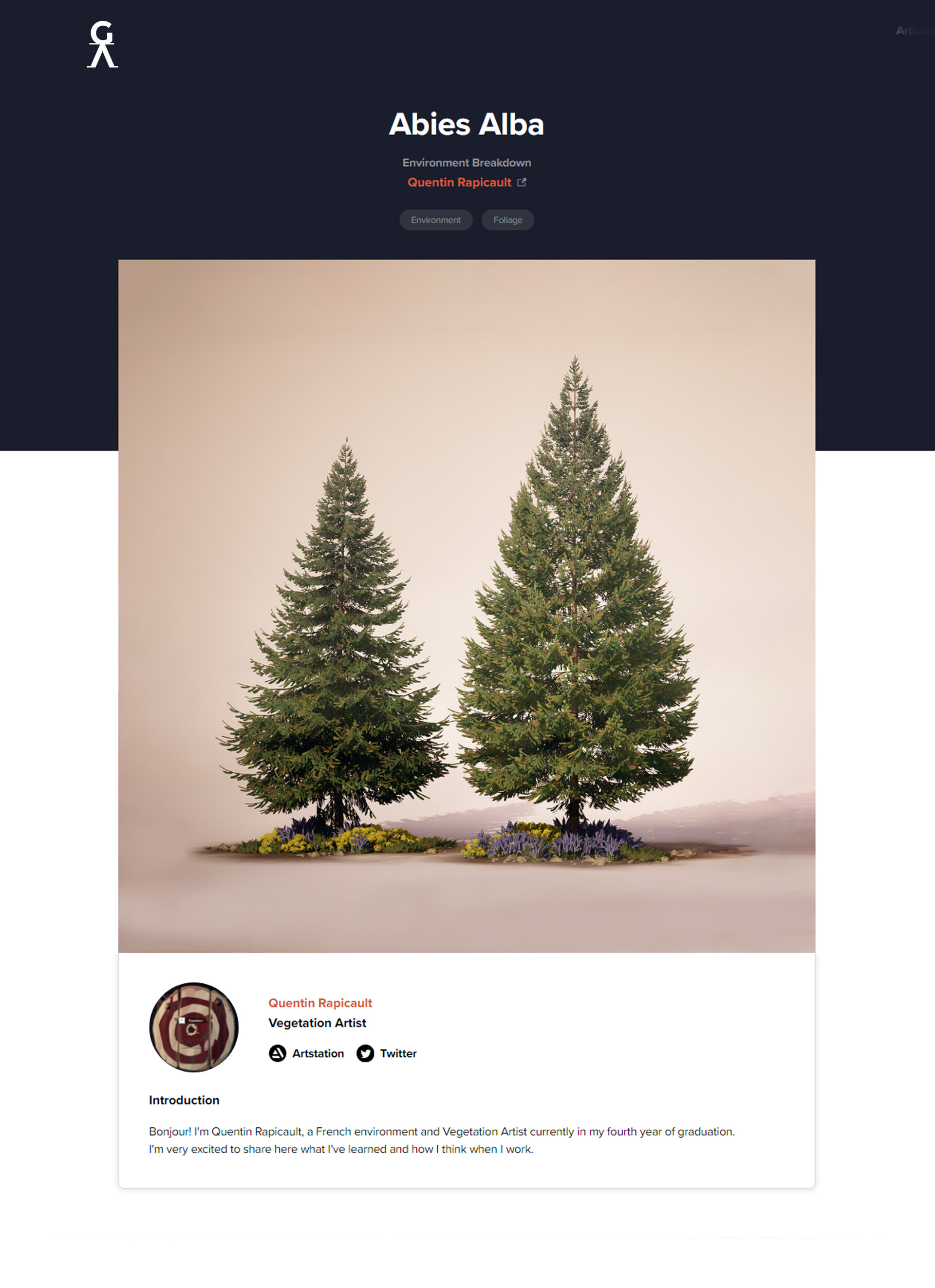 Quentin Rapicault - Abies Alba - Environment Breakdown - GamesArtist