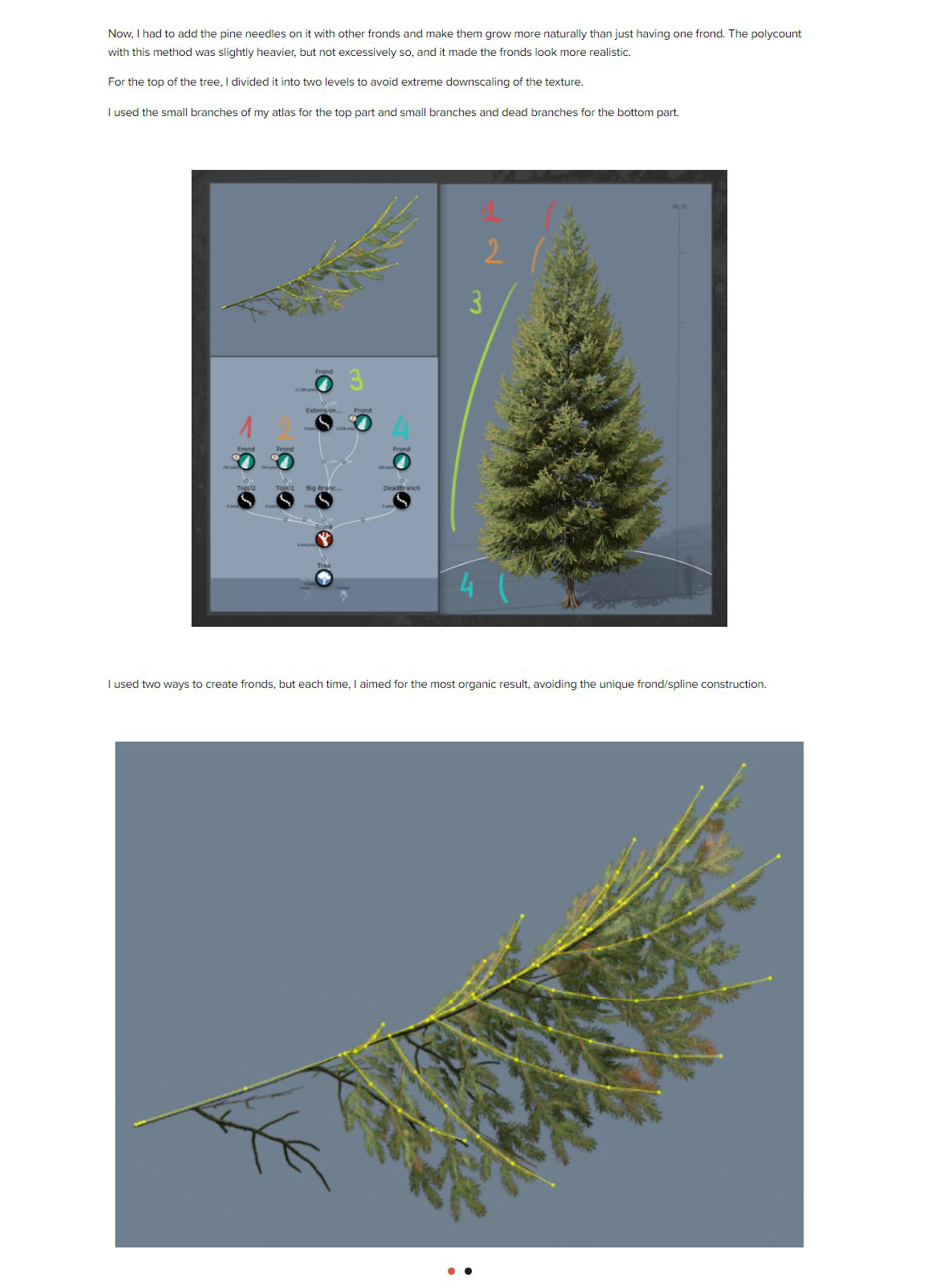 Quentin Rapicault - Abies Alba - Environment Breakdown - GamesArtist