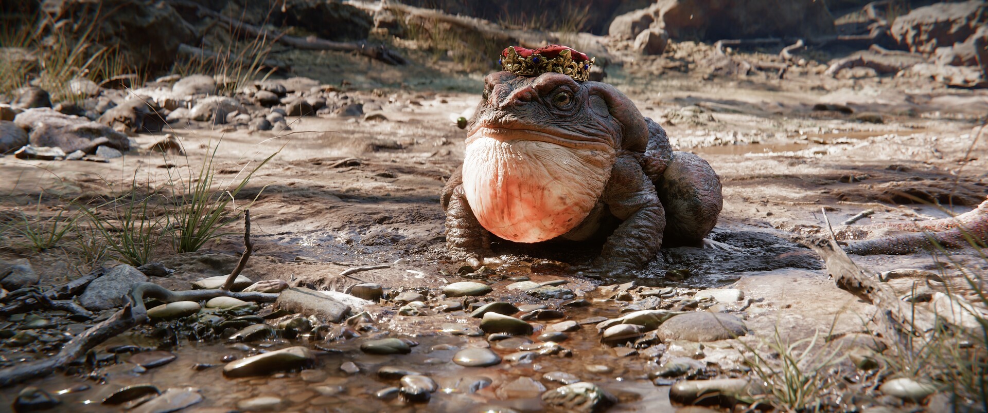 Tomasz Zarucki - TOAD