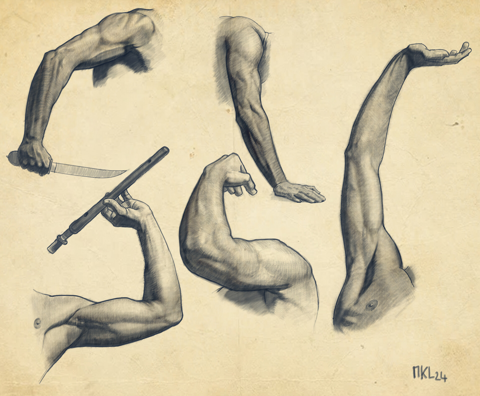 ArtStation - Arm studies
