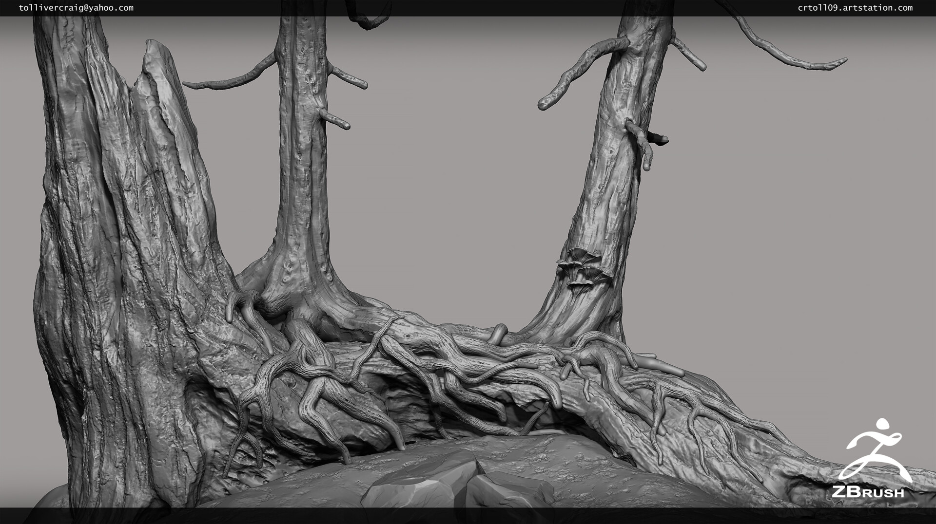 Craig Tolliver - Nurse Log