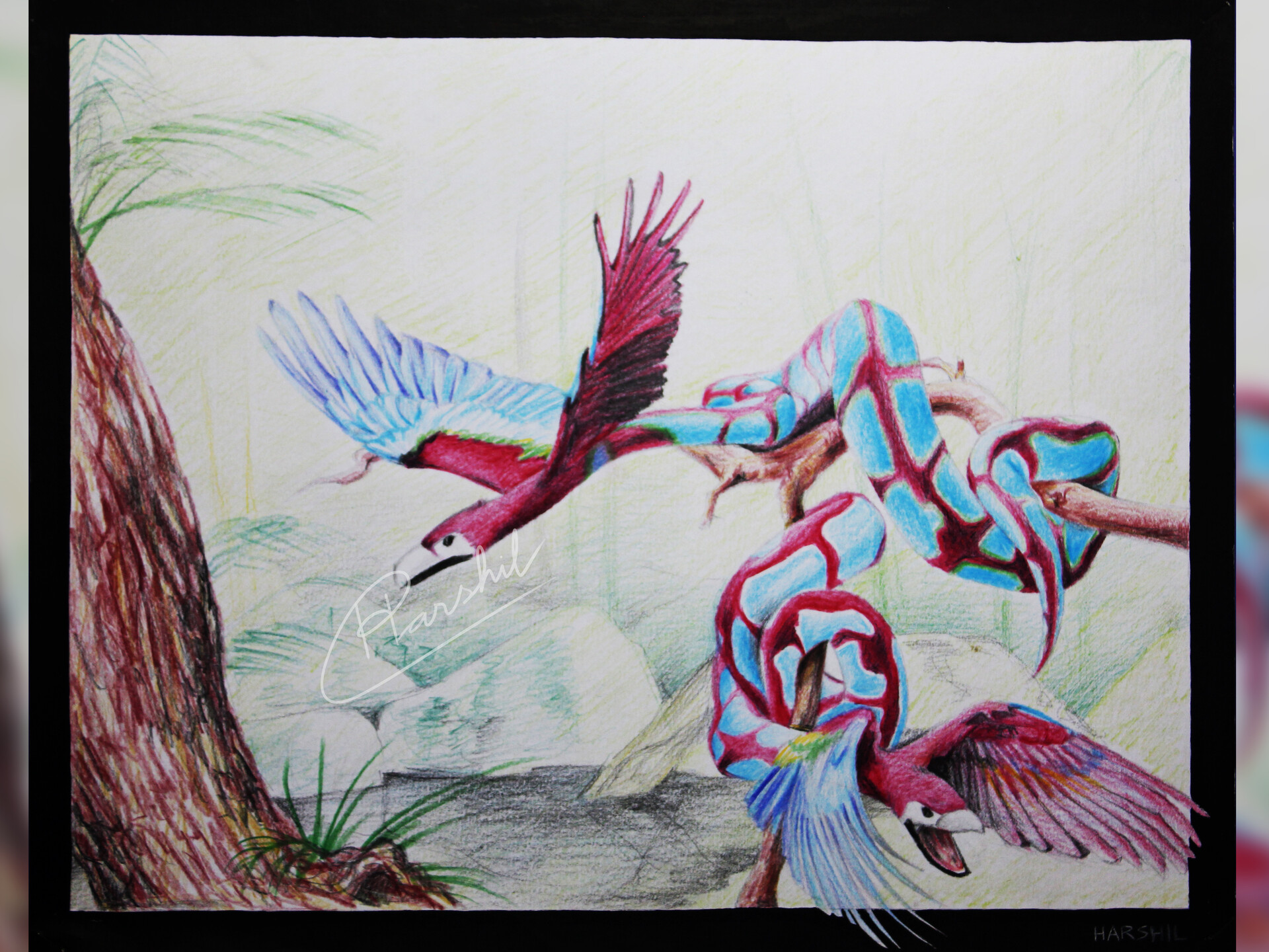 ArtStation - Macaw fused Python Hybrid
