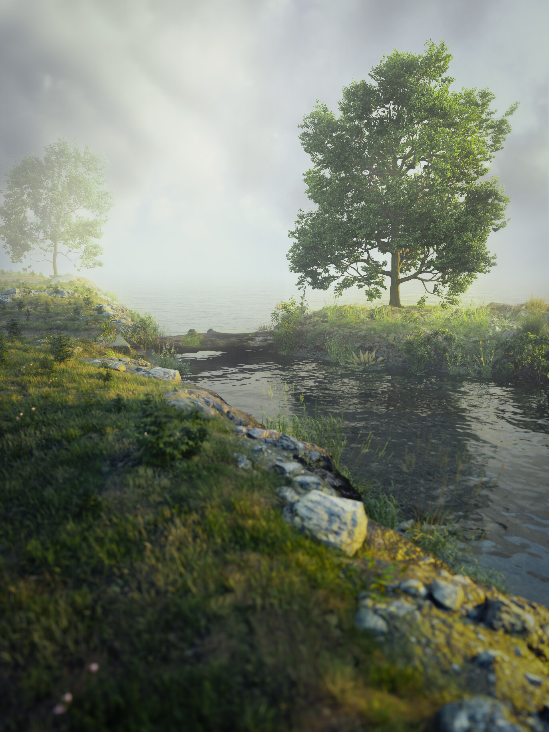 ArtStation - Embracing the calm of nature