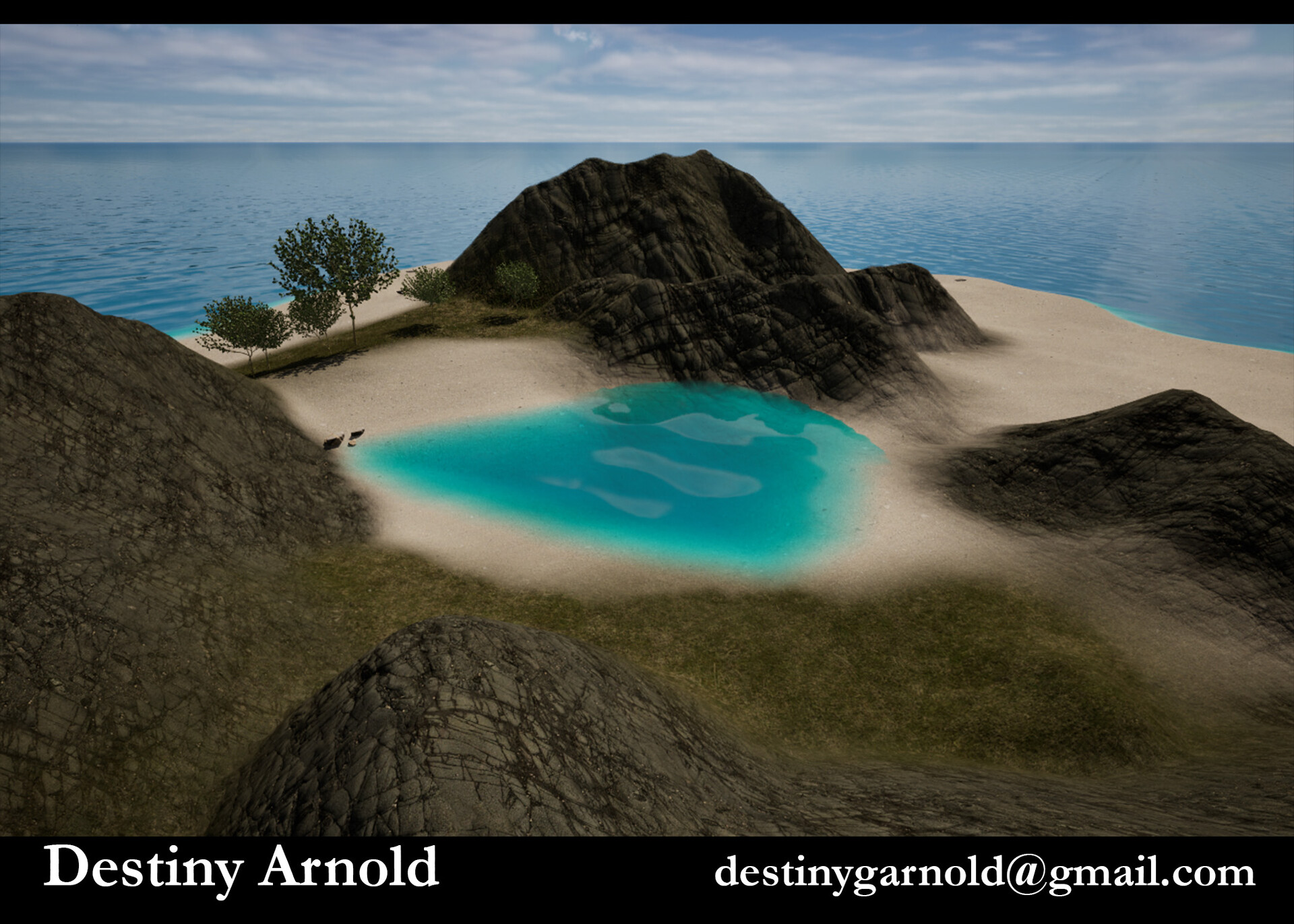 Destiny Arnold - LVL Class Projects