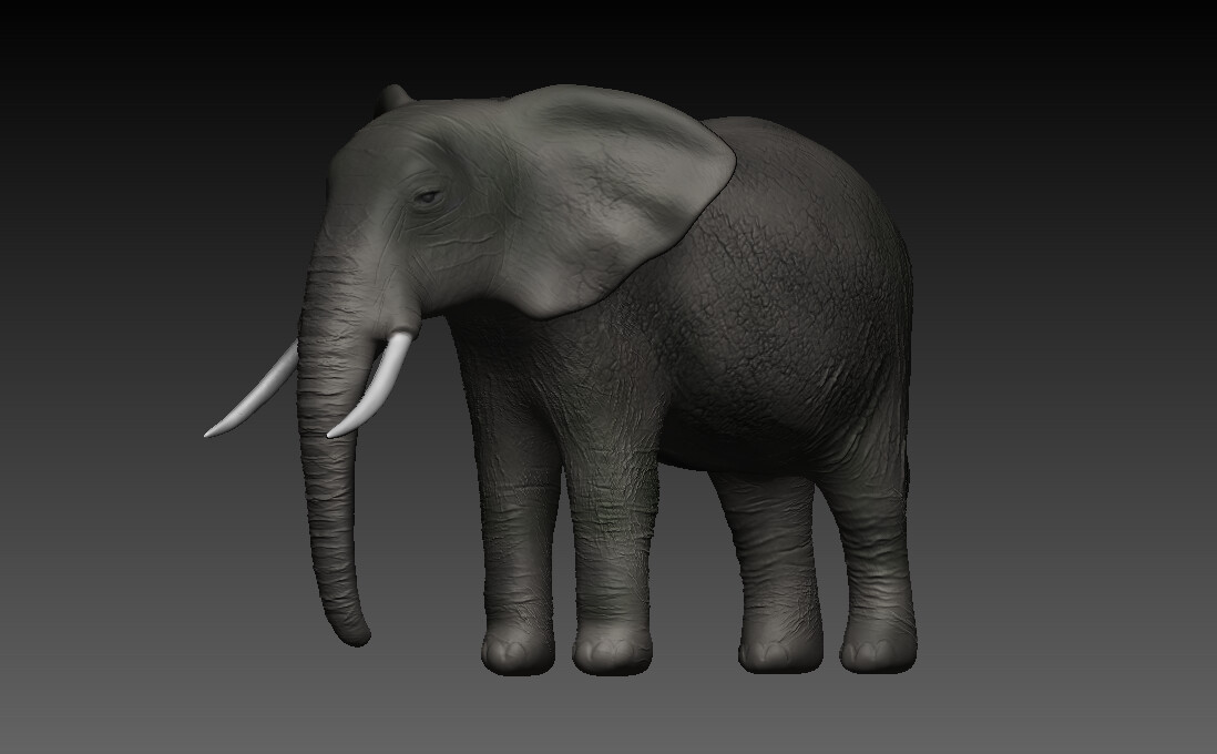 ArtStation - Elephant