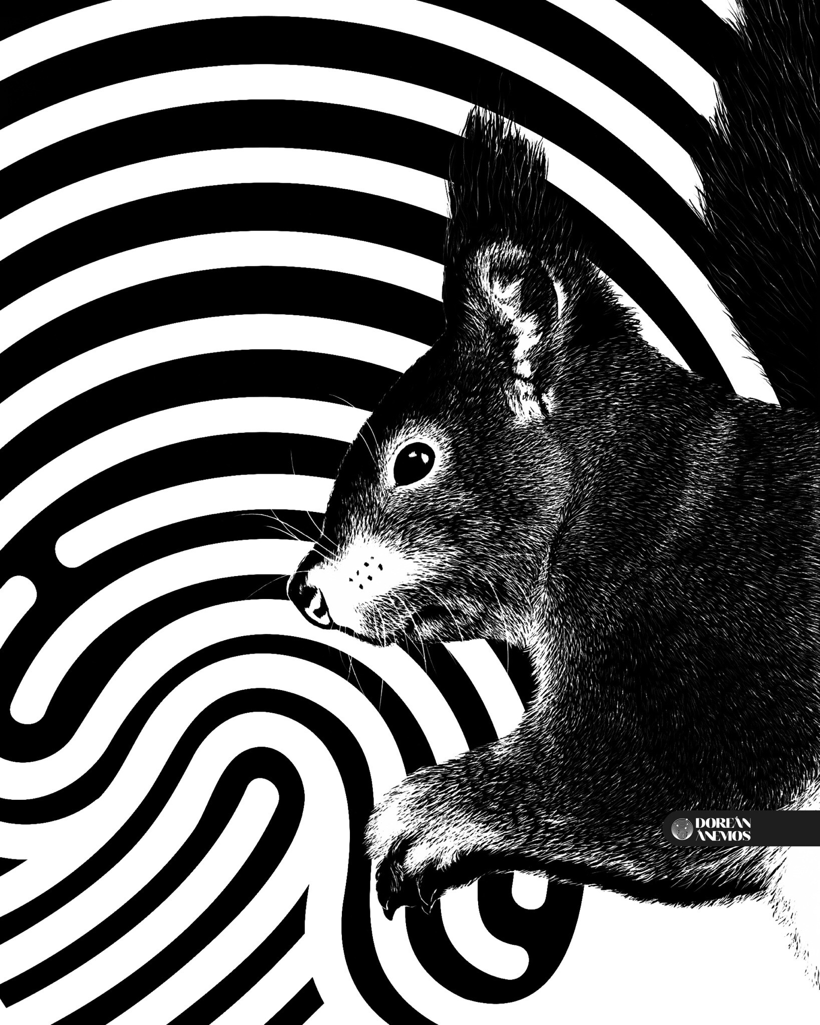 ArtStation - Identity Animal