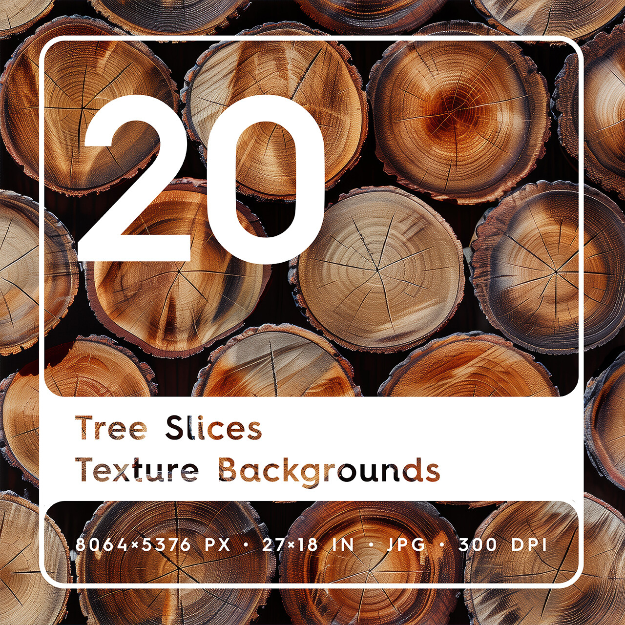 Alexander Nedviga - 20 Tree Slices Texture Backgrounds