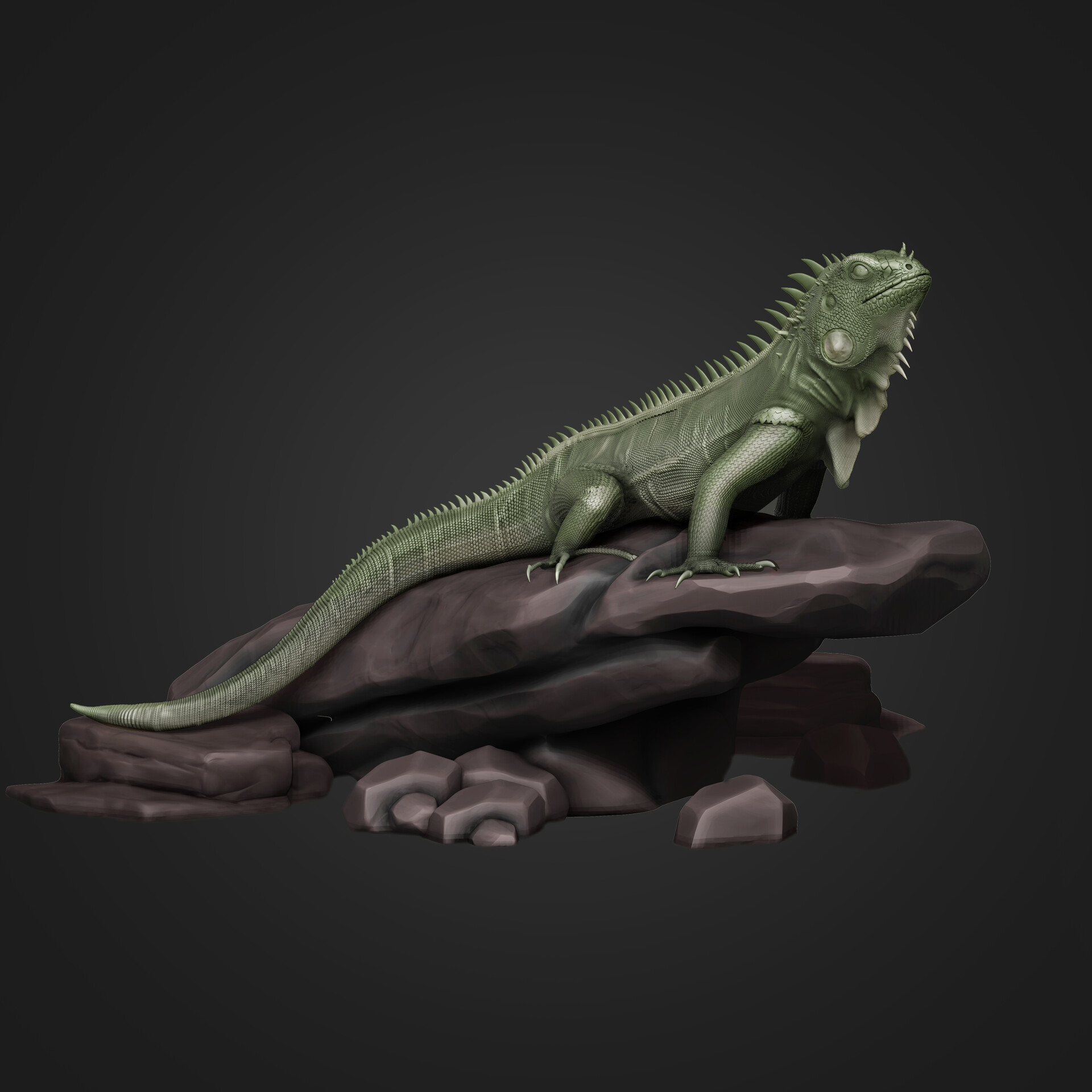 ArtStation - Iguana