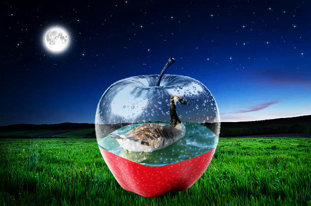 ArtStation - apple with duck popping out