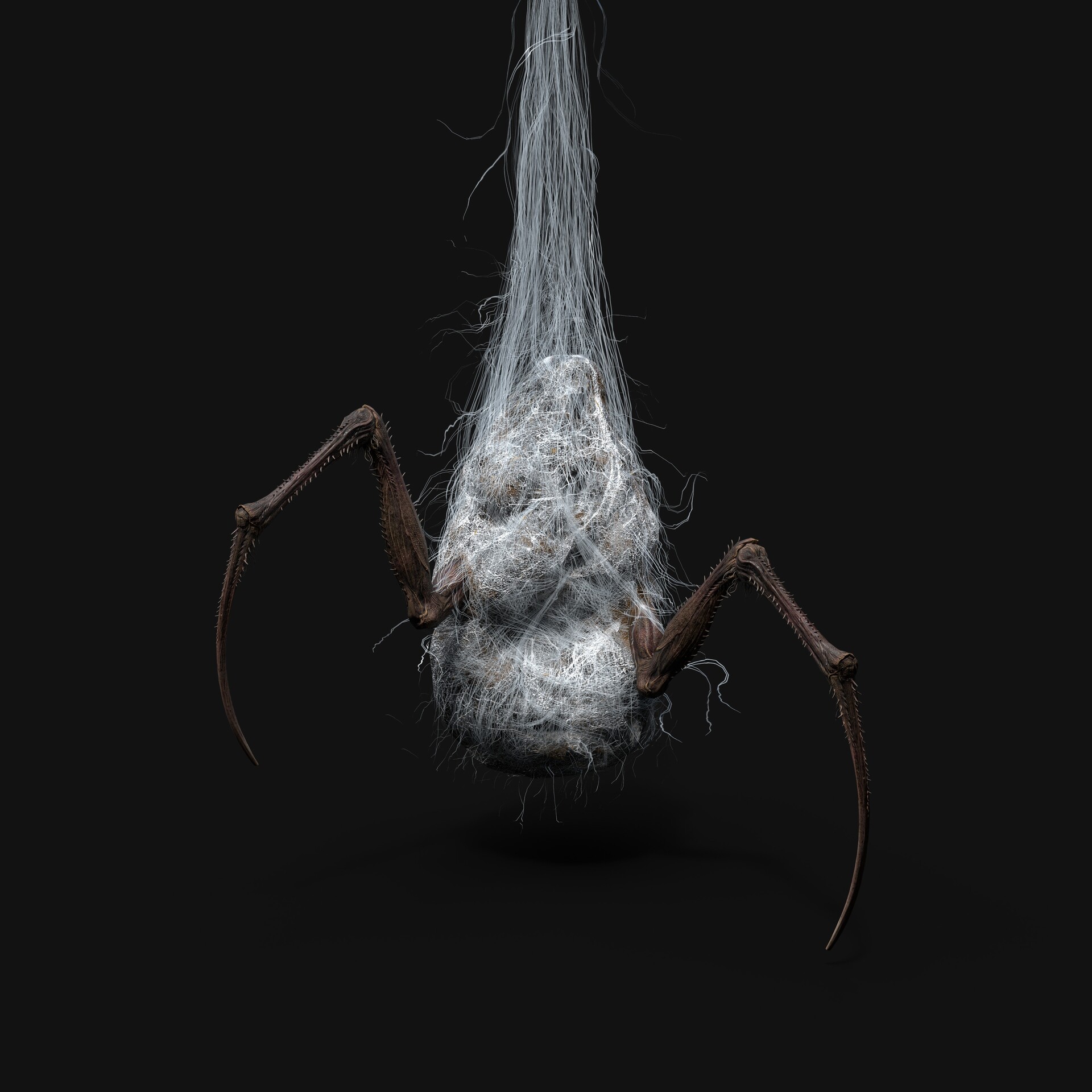 huan gugu - wukong Character Modeling_蜘蛛