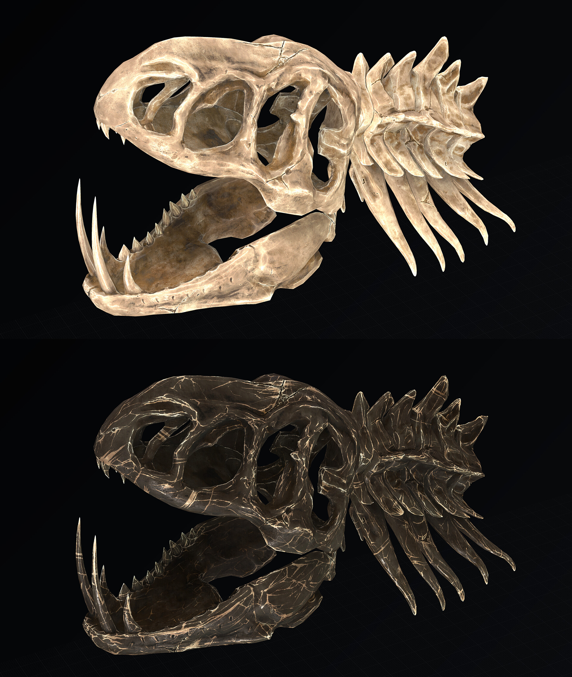 Aykut Asa - Bones - Fossils - Leviathan Bones