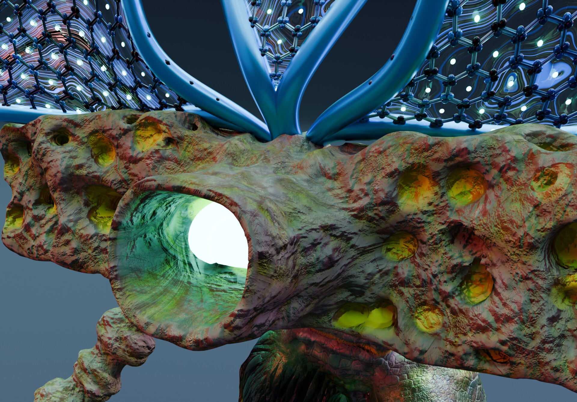 Desislava Stefanova - TITANORADITROPHUS