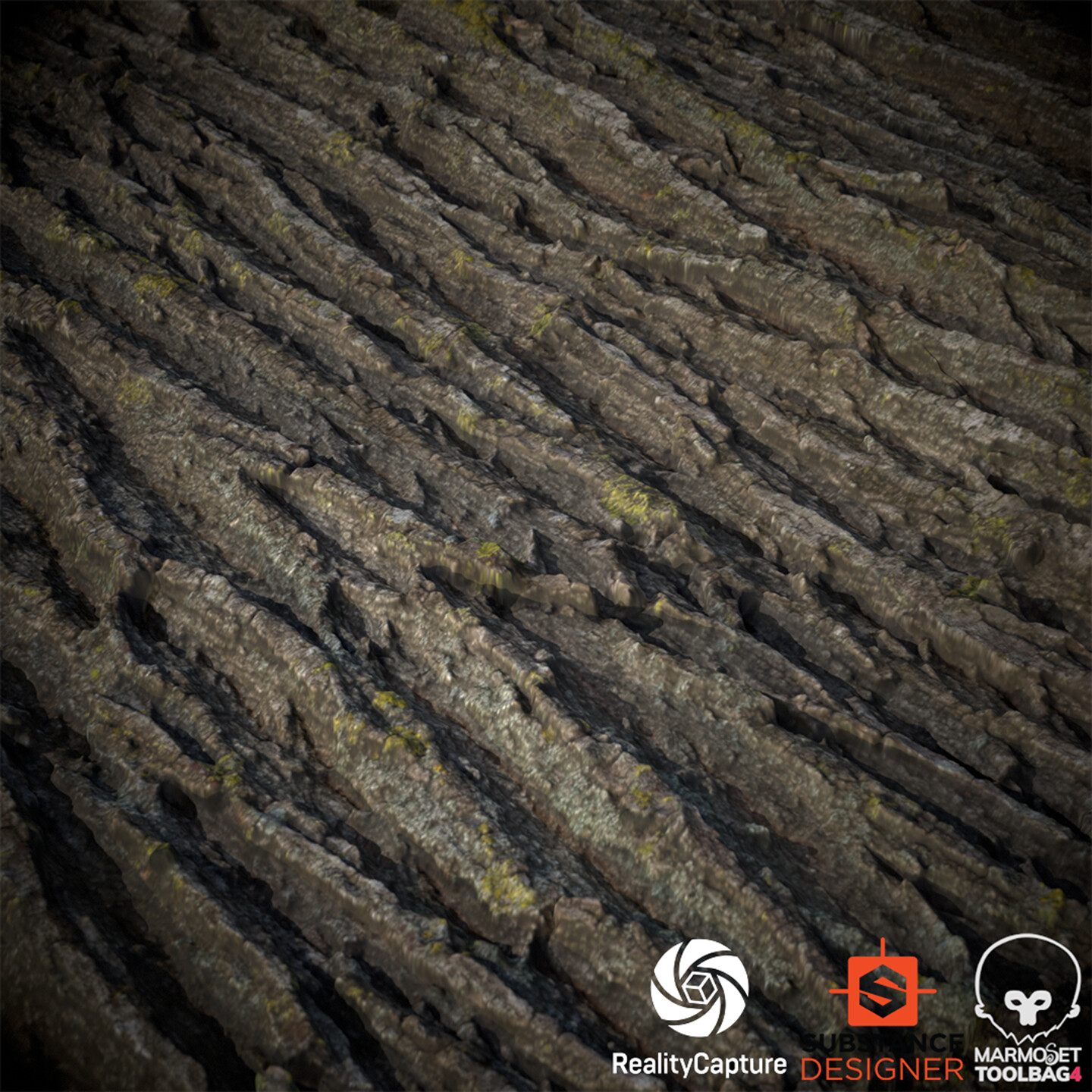 ArtStation - Tree Bark - Photo scanned