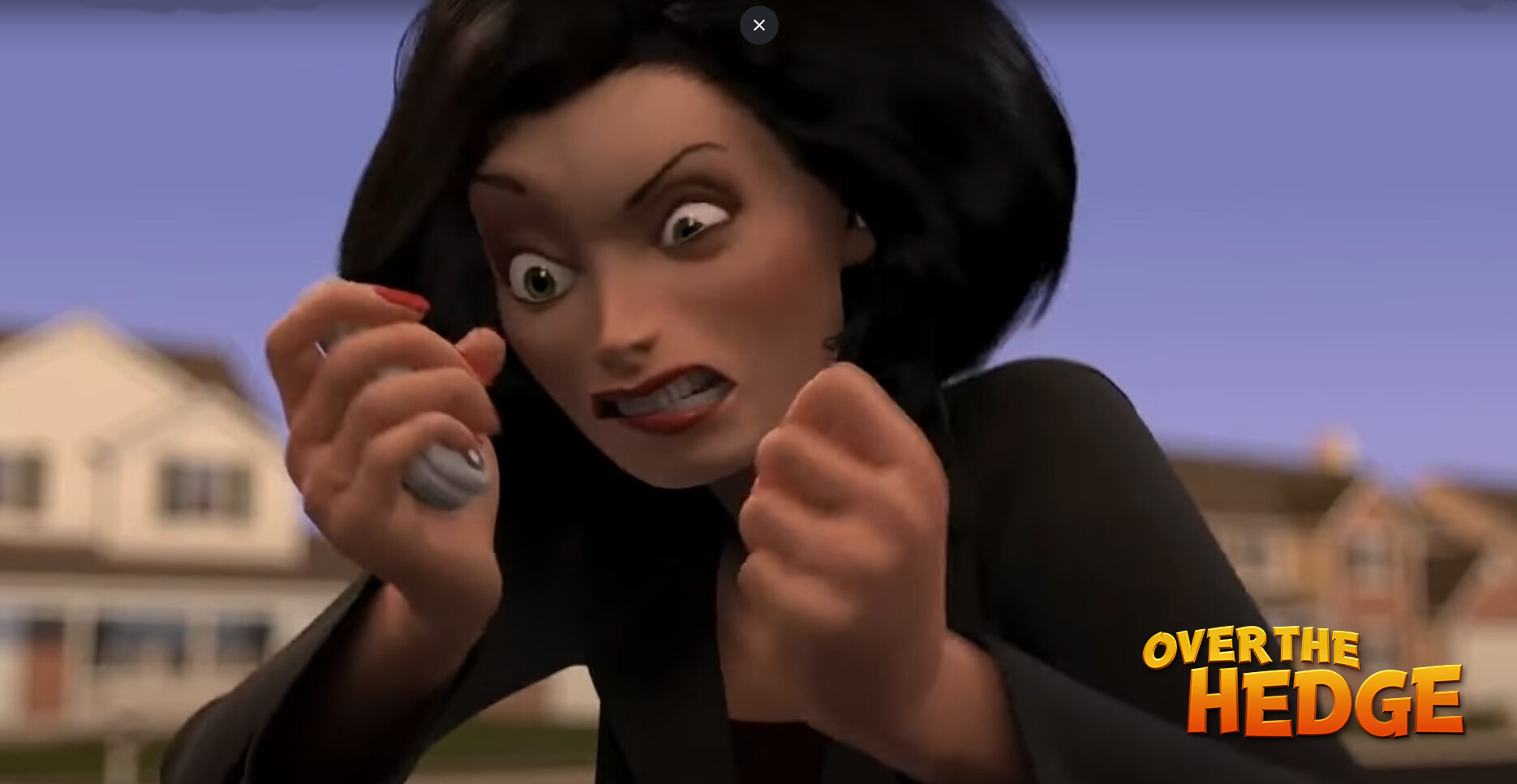 Haengsook Oh - Gladys & Dwayne /Over The Hedge