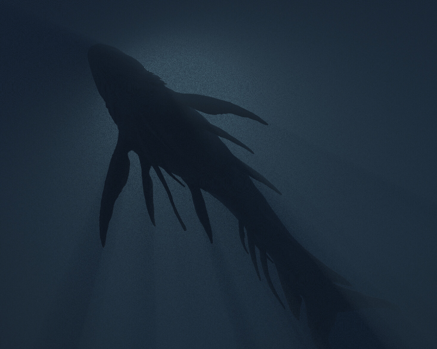 Florent Desailly - Flow Whale