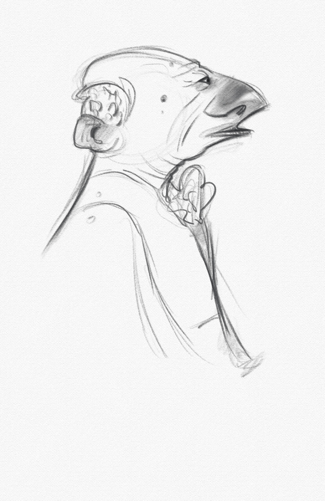 Garry Donzelli Gray - Mr. Nosey Characters