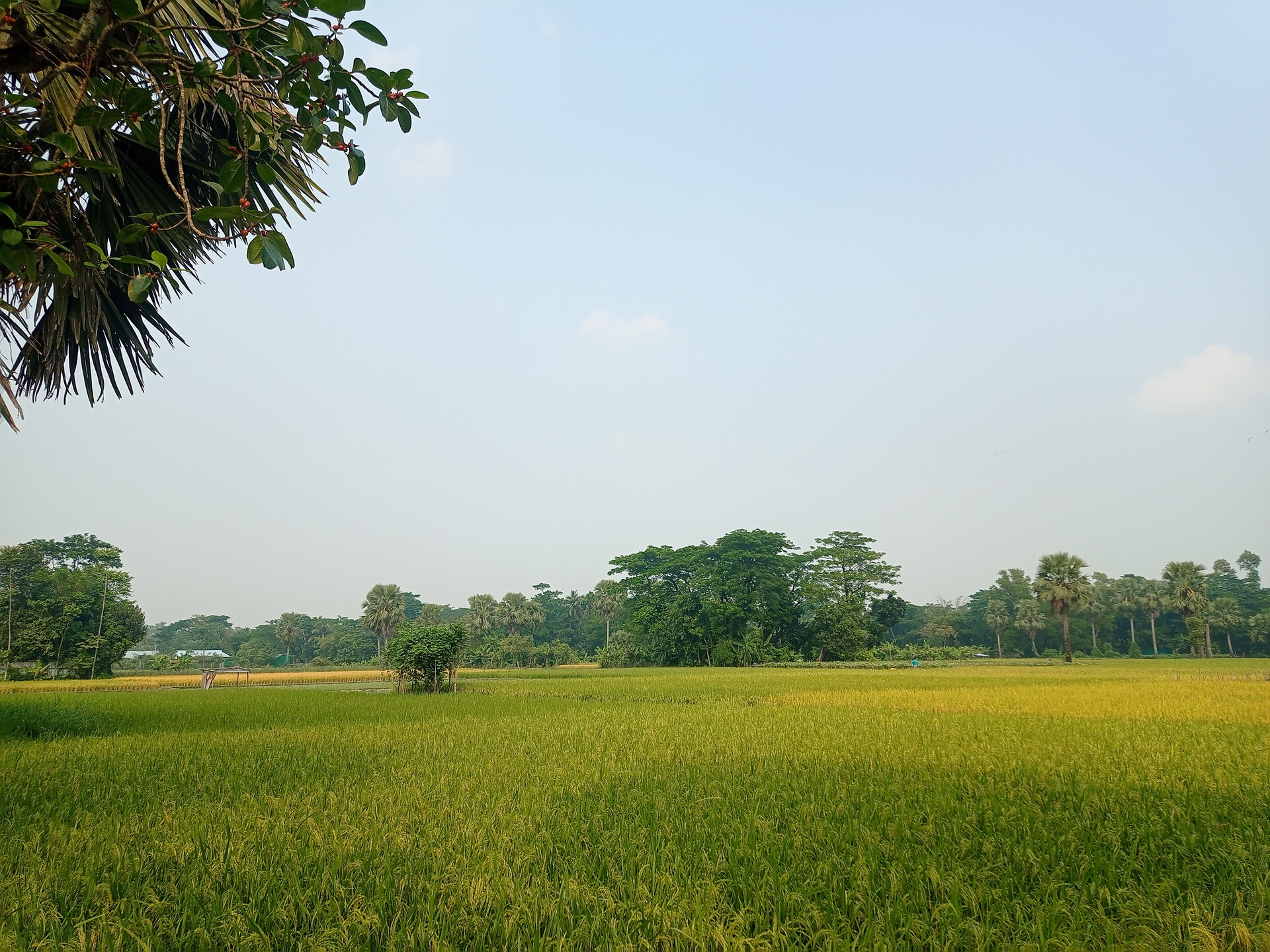 ArtStation - Landscape_03