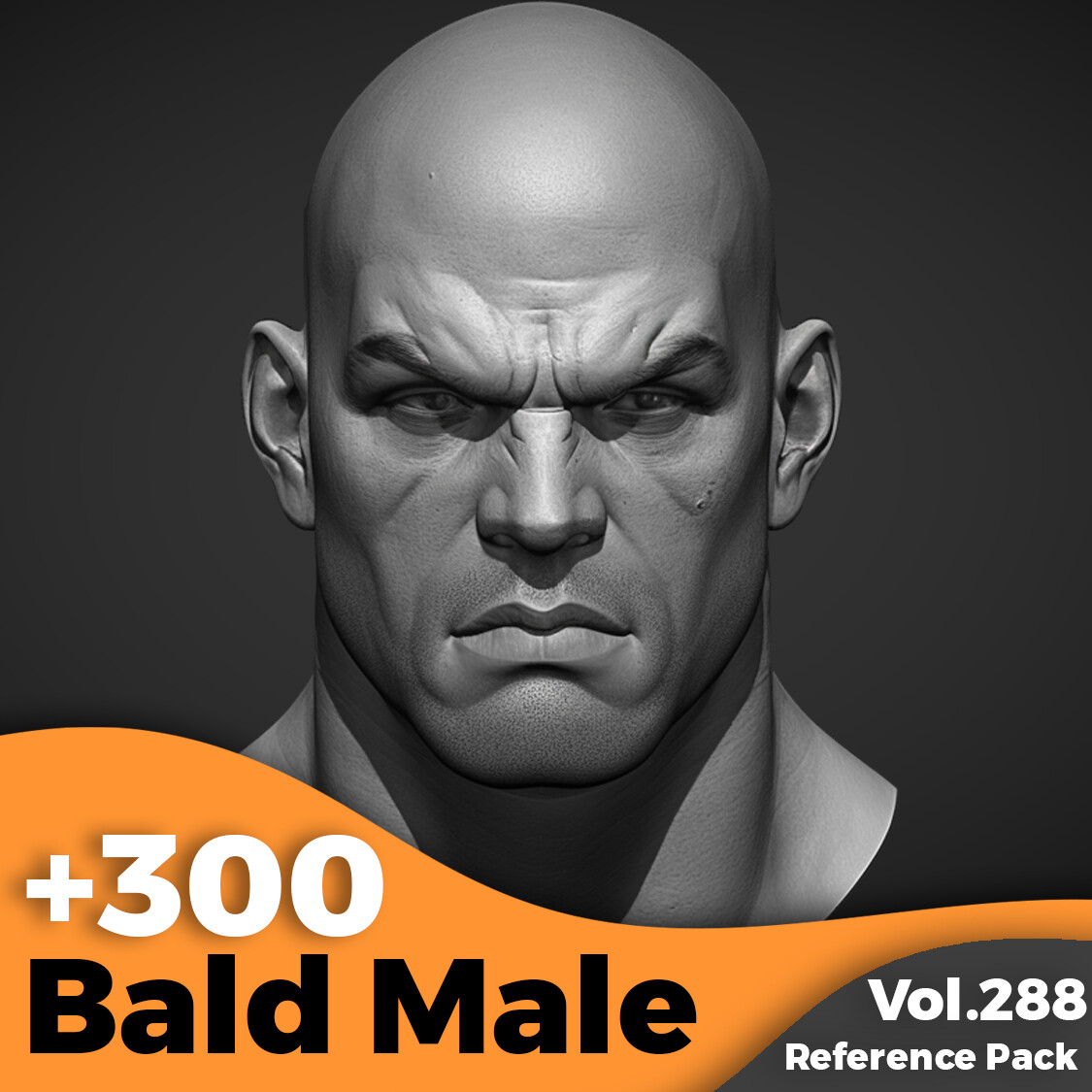 3D Head Sculpt References in 4K - Tika Art - +300 Bald Male Head Sculpt ...