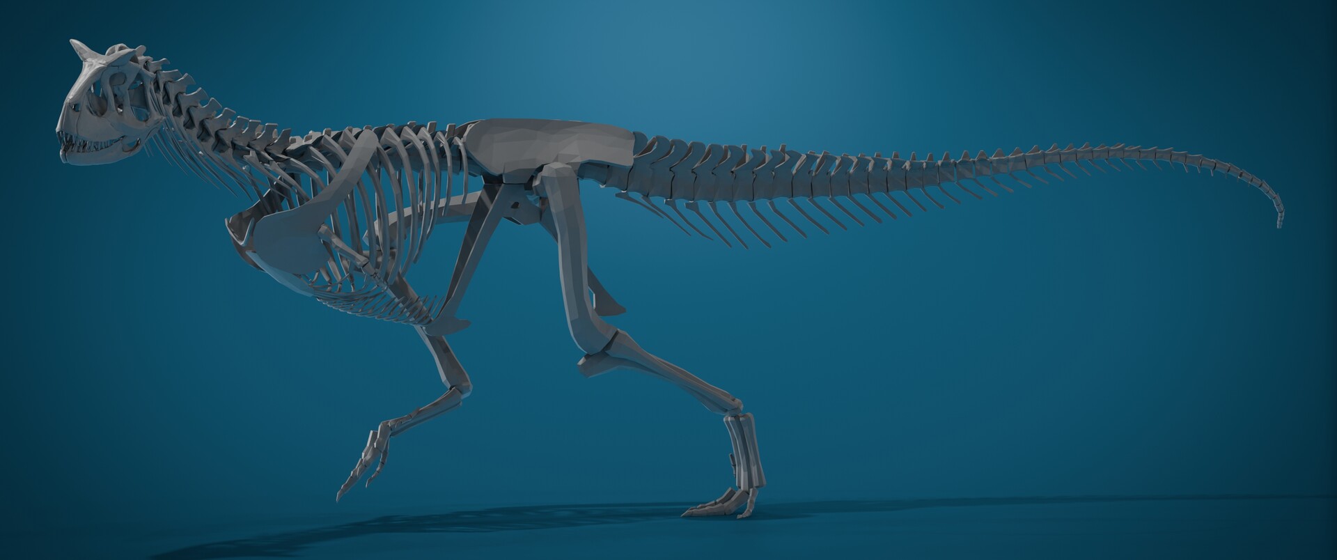 Carnotaurus Skeleton