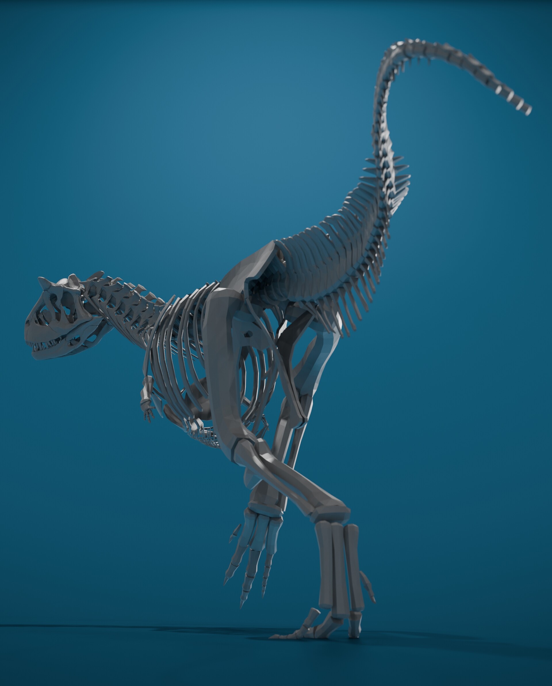 Oakyere - Carnotaurus Skeleton