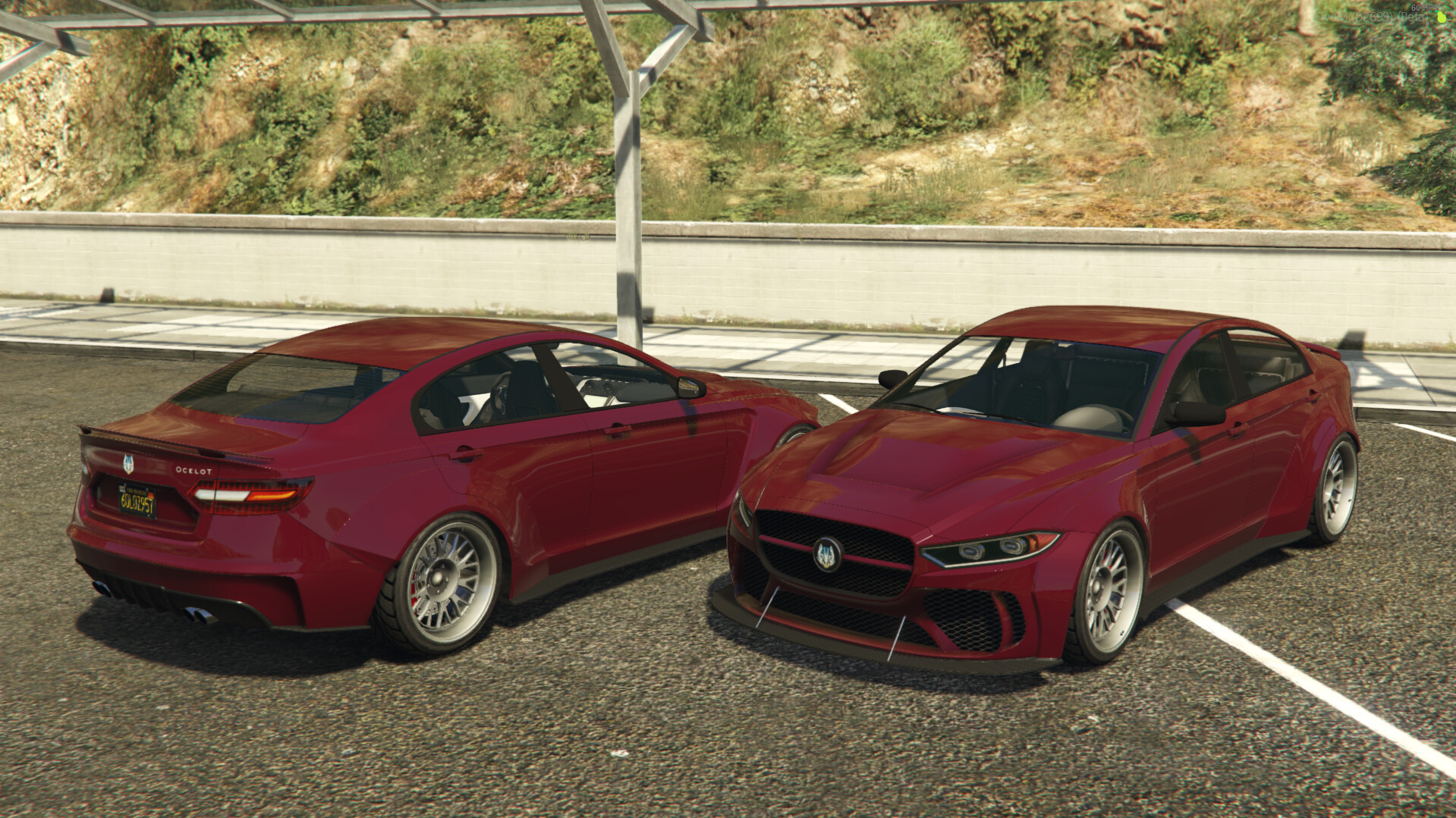 13Stewartc - Ocelot Jugular SE & Ocelot Jugular Custom