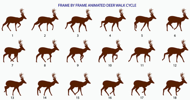 deer run cycle animation