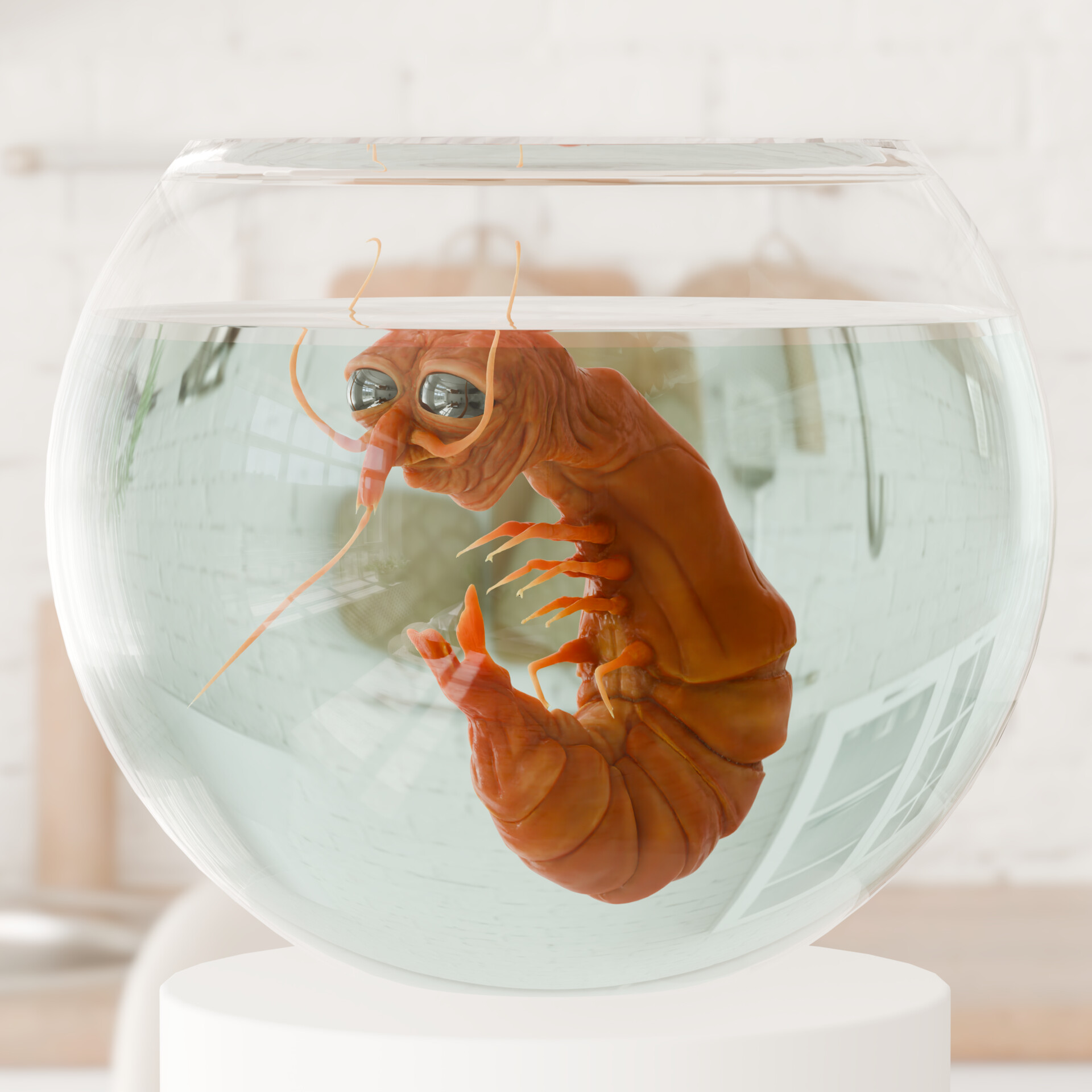 ArtStation - Grandma Shrimp