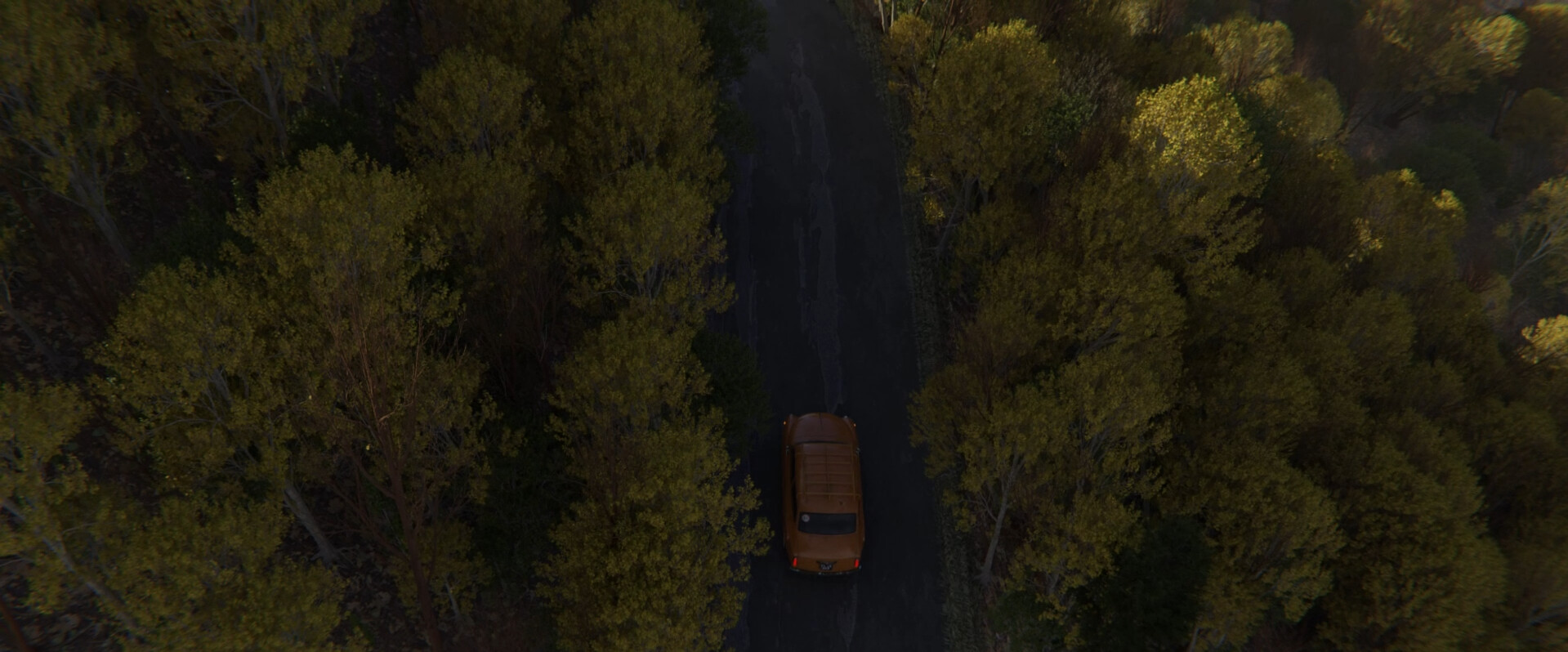 ArtStation - The road