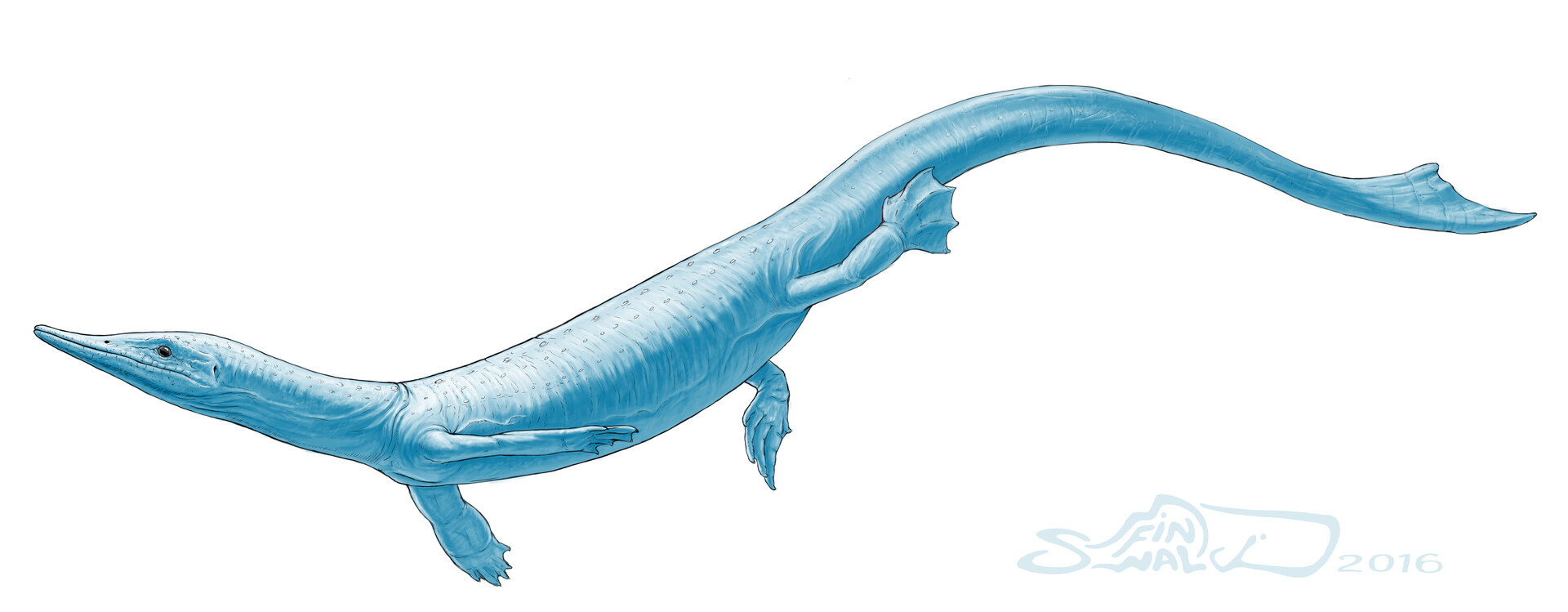 FinwalART - Olds #4 Marine 2017-2018