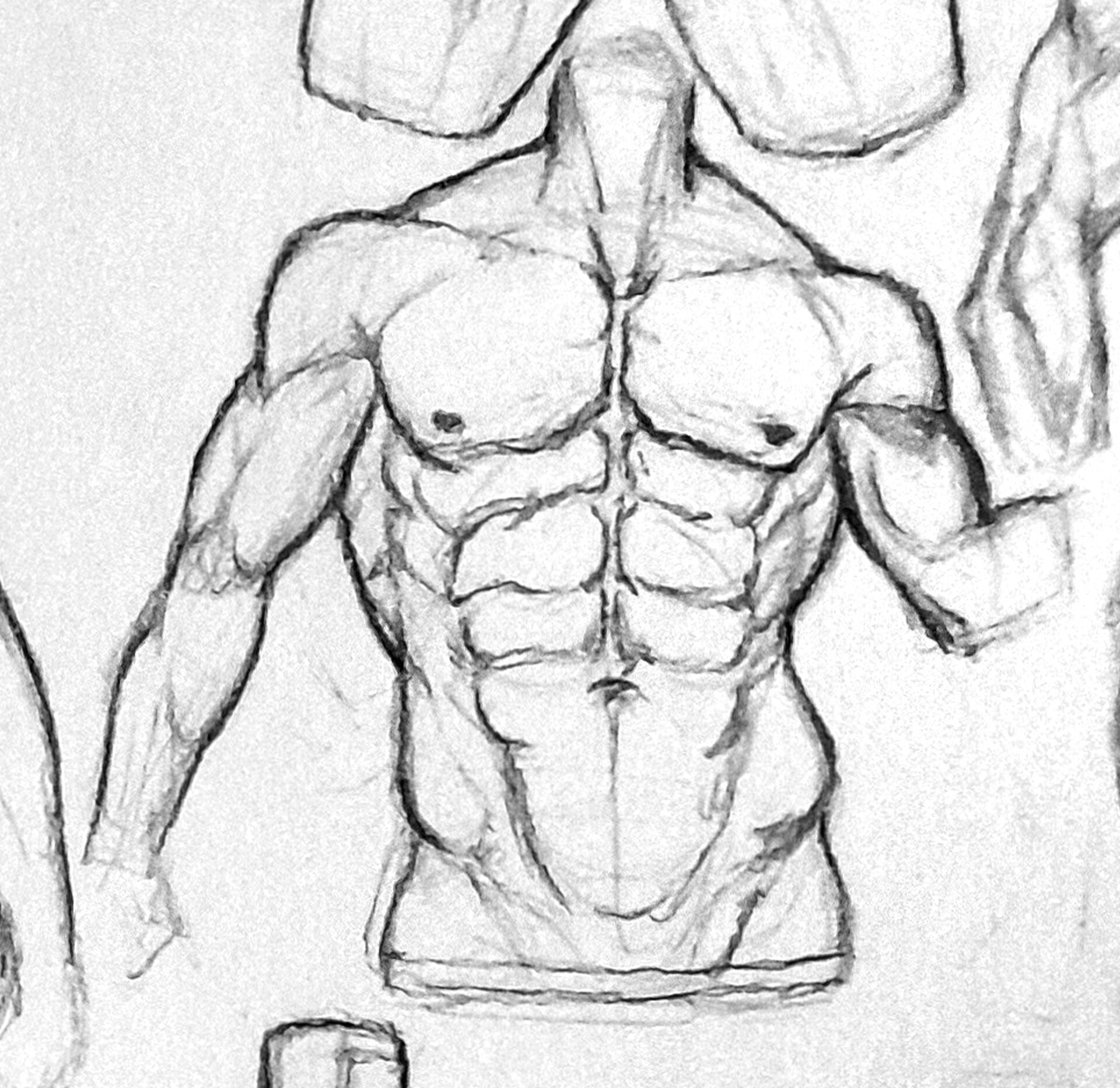 male upper torso reference