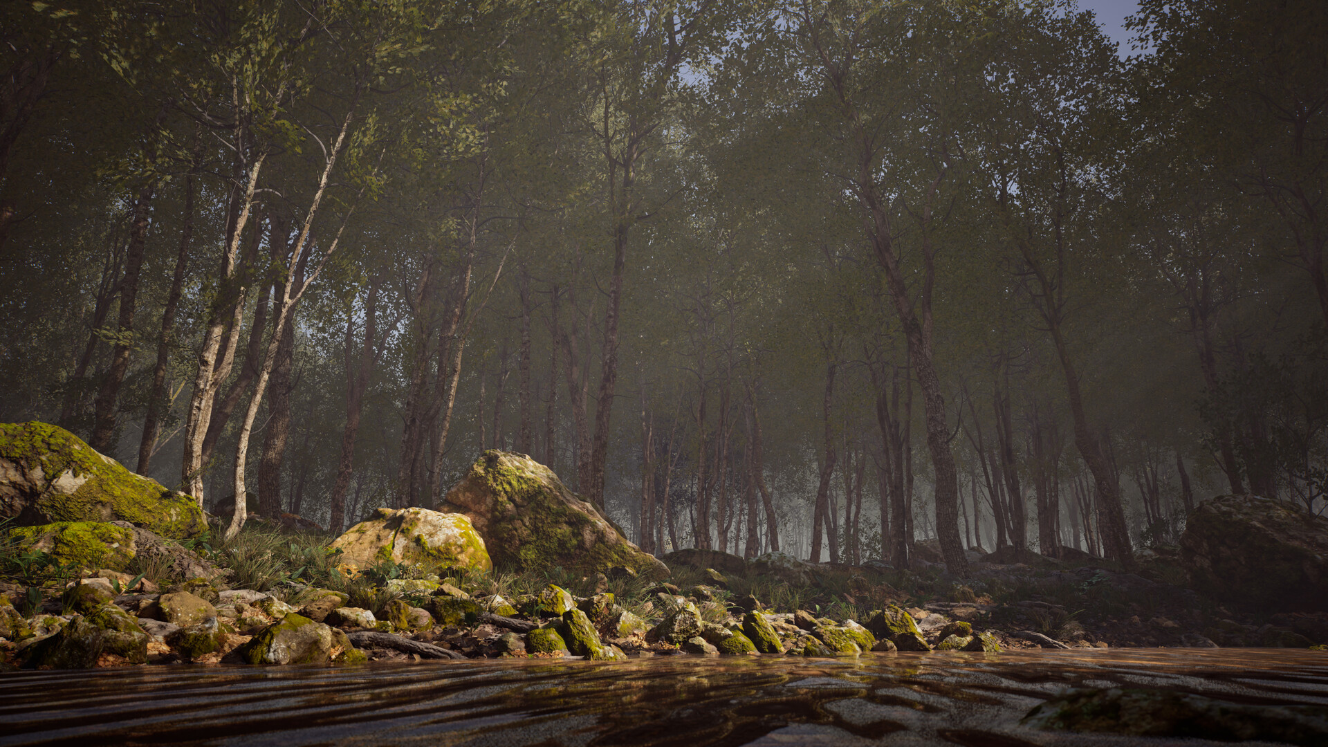 Saikumar Korlapu - Forest Environment