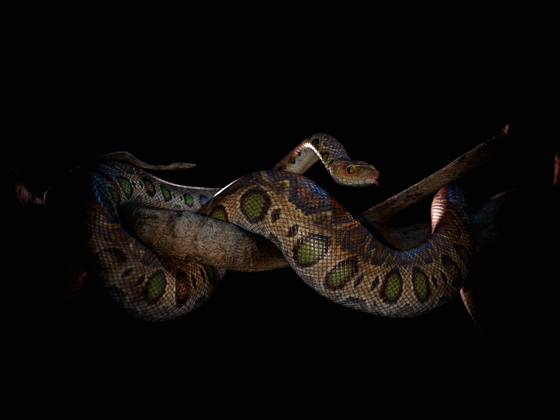 ArtStation - Snake | Anaconda