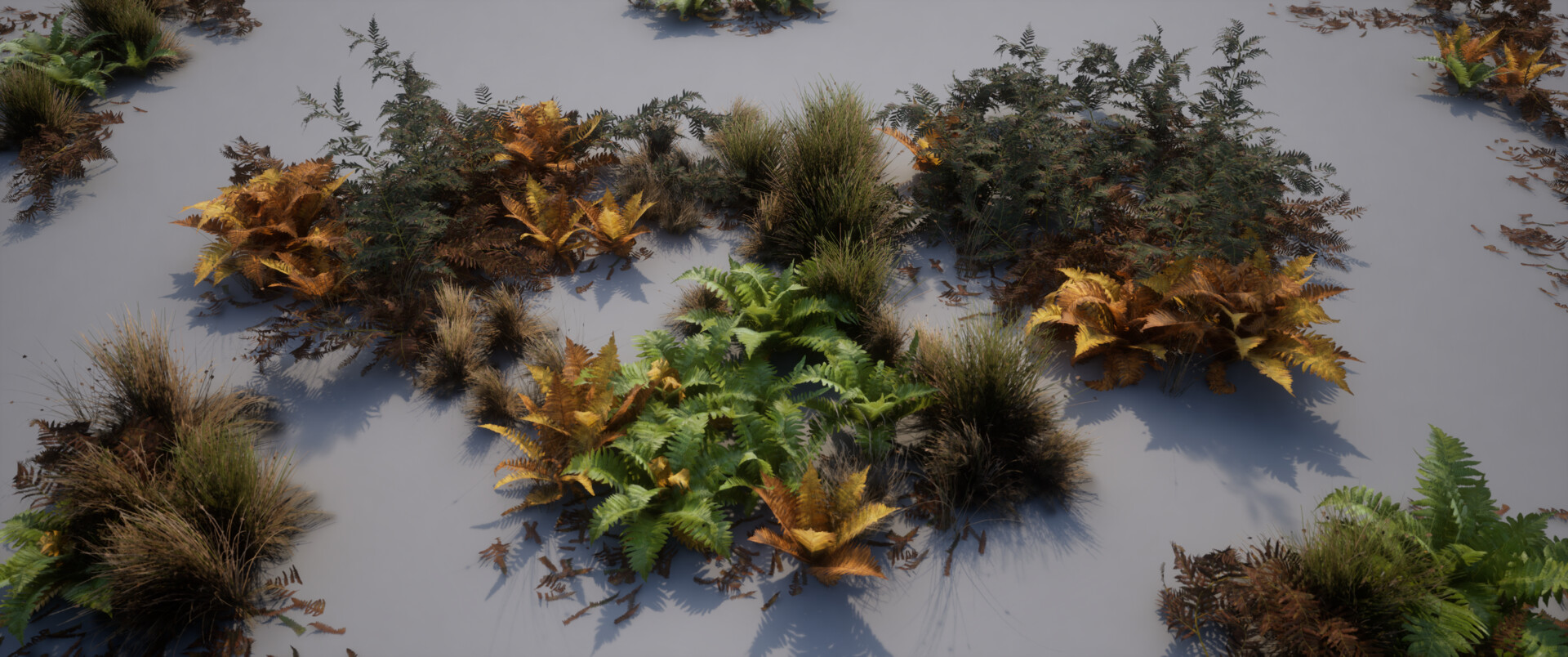 John Harris - British Moorland Vegetation