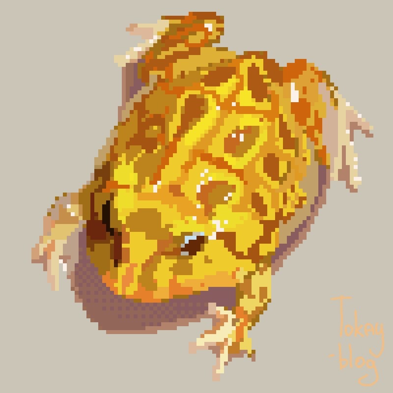 ArtStation - Pixel art. Frogs