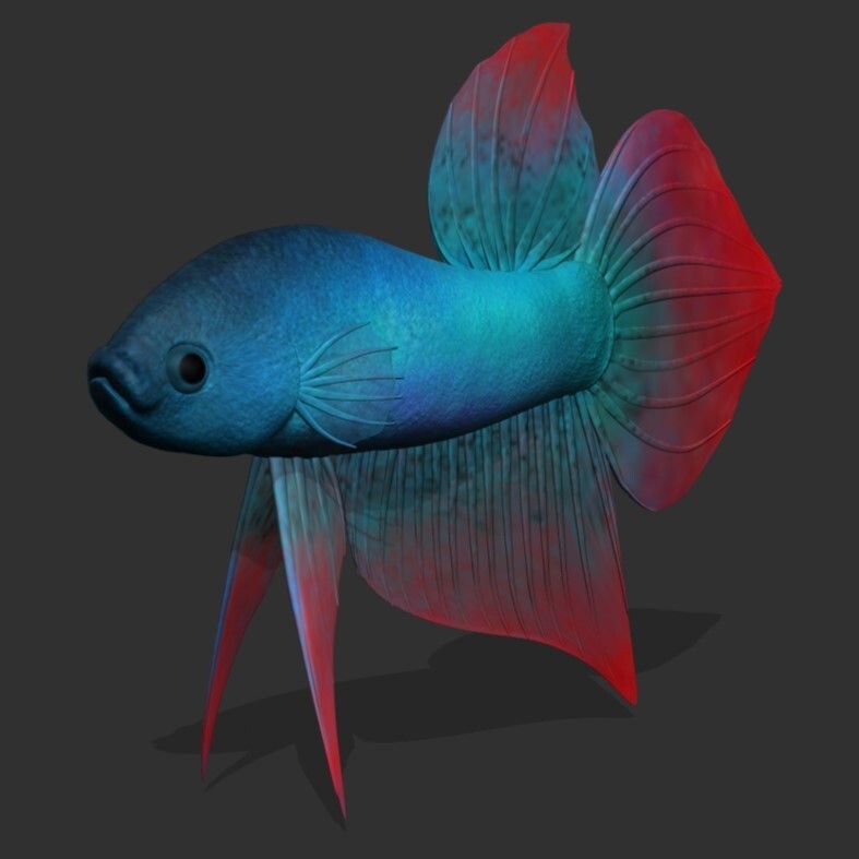 ArtStation - Betta Fish Sculpt