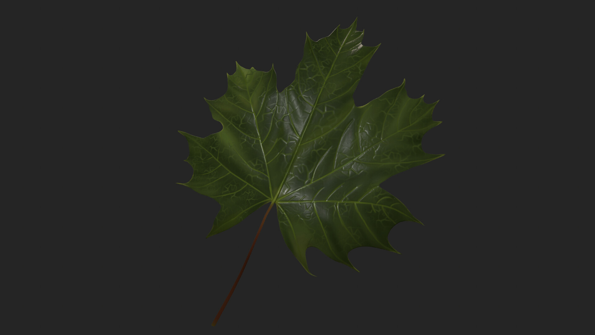 ArtStation - Realistic 3D Maple Leaf – Game-Ready