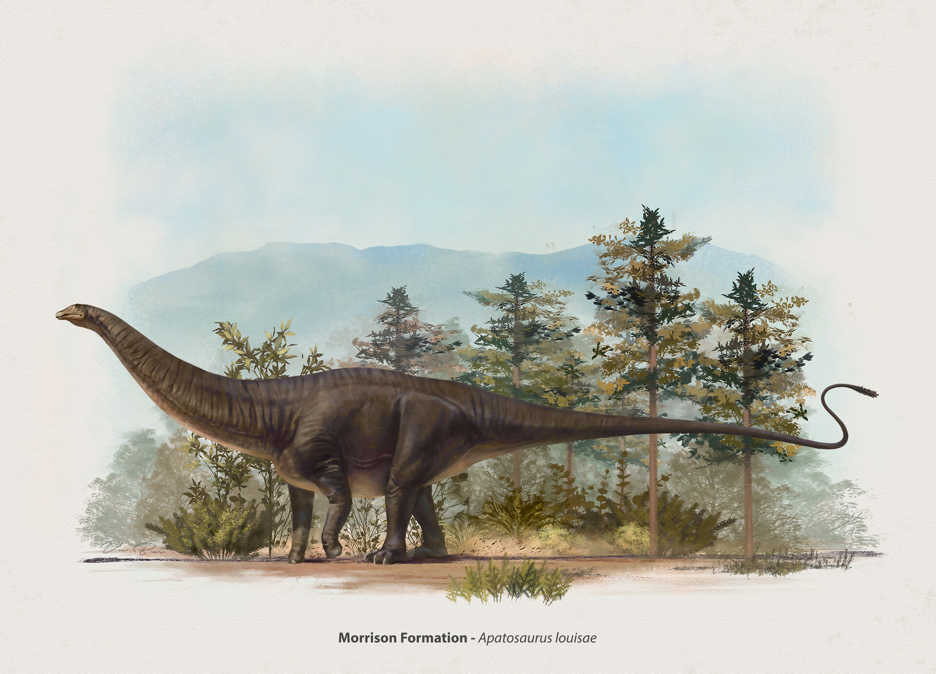 ArtStation - Apatosaurus