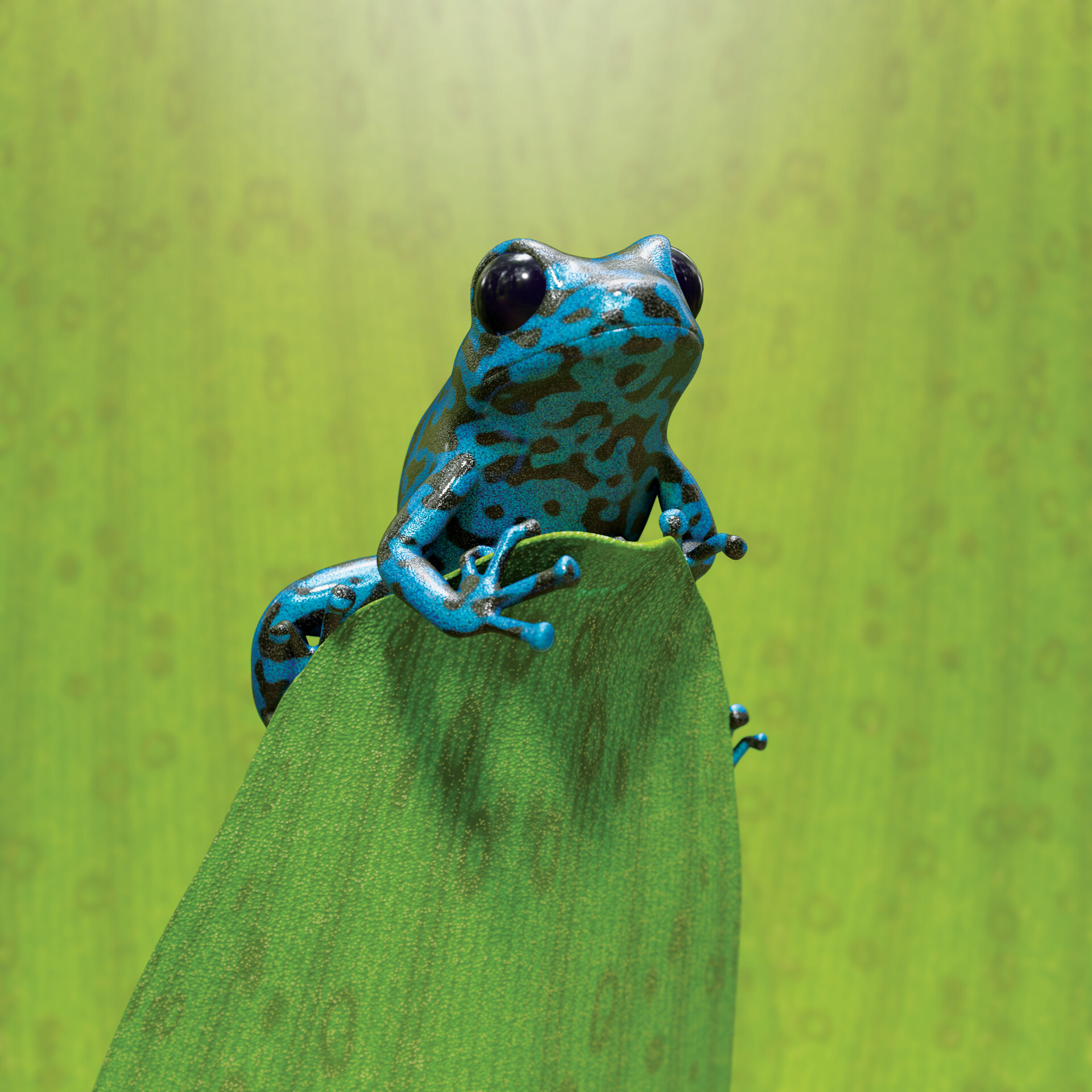 ArtStation - Poison Frog