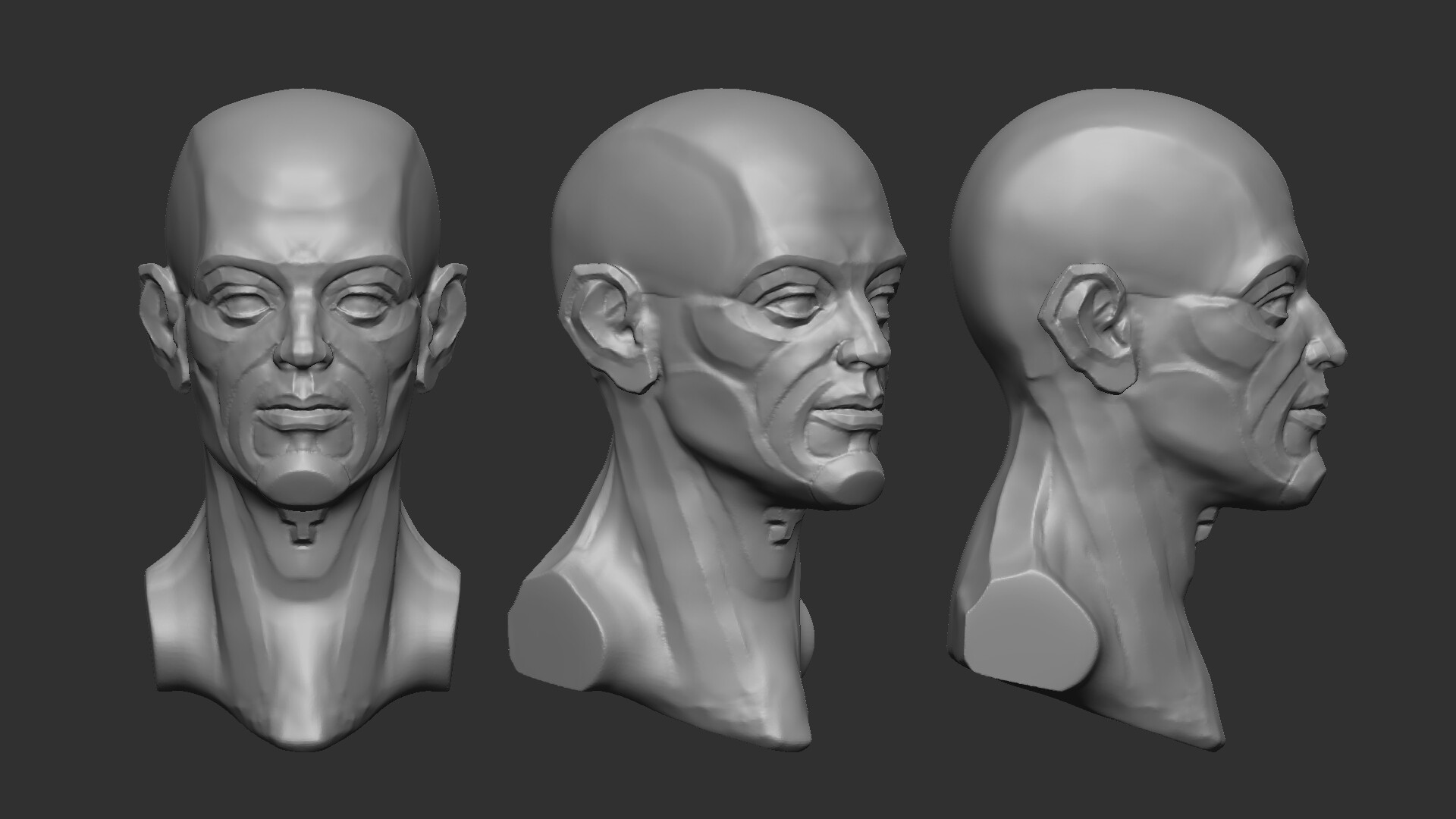 Fedor Bortnik - Head anatomy study 01
