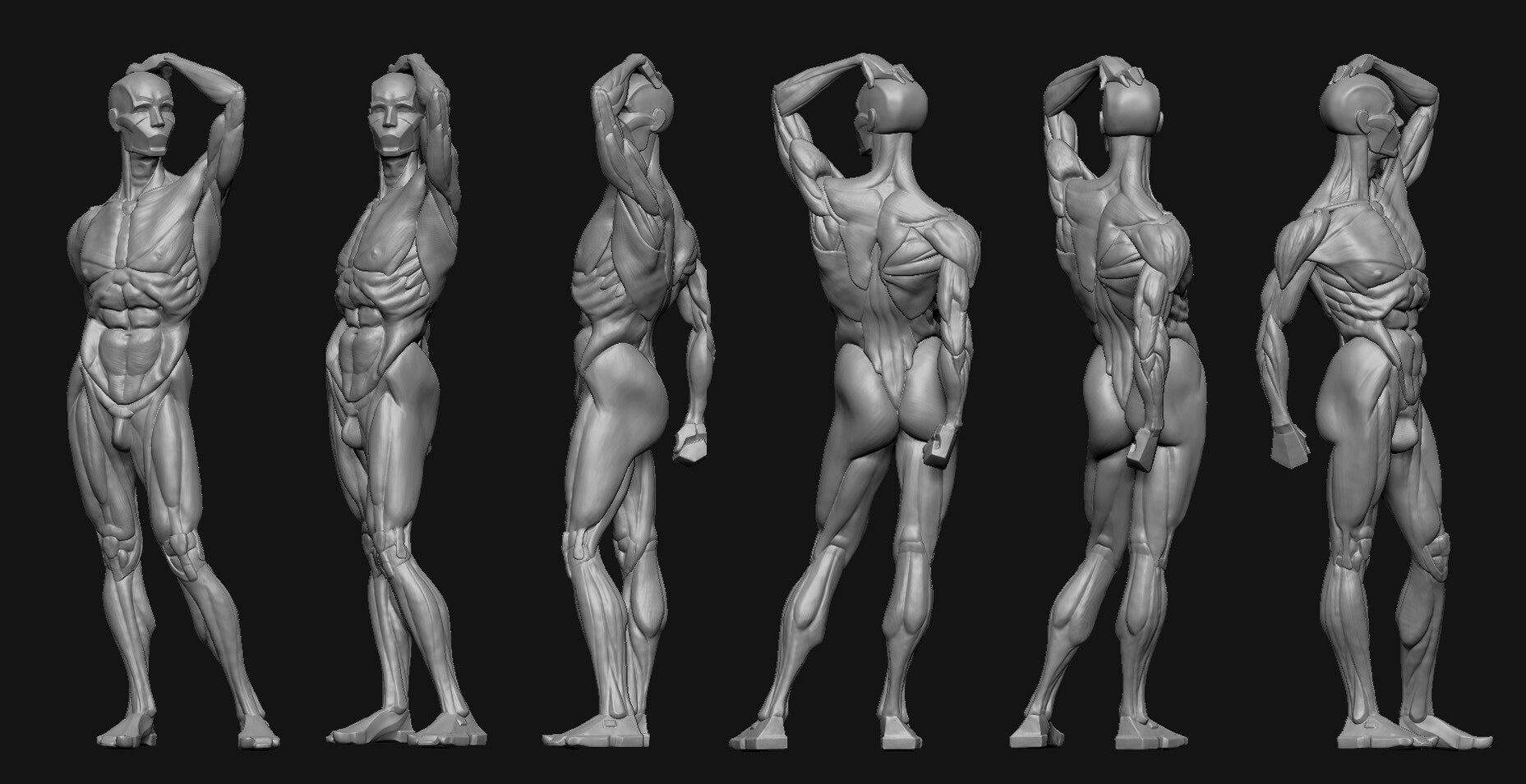 ArtStation - Ecorche