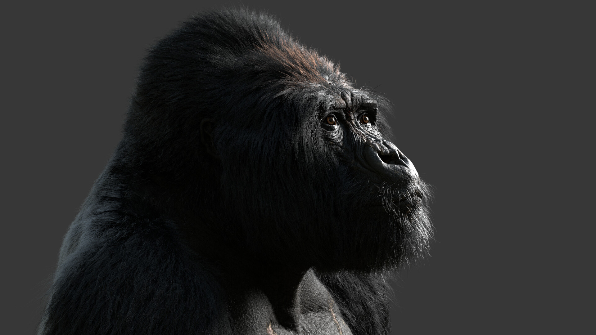 ArtStation - Gorilla