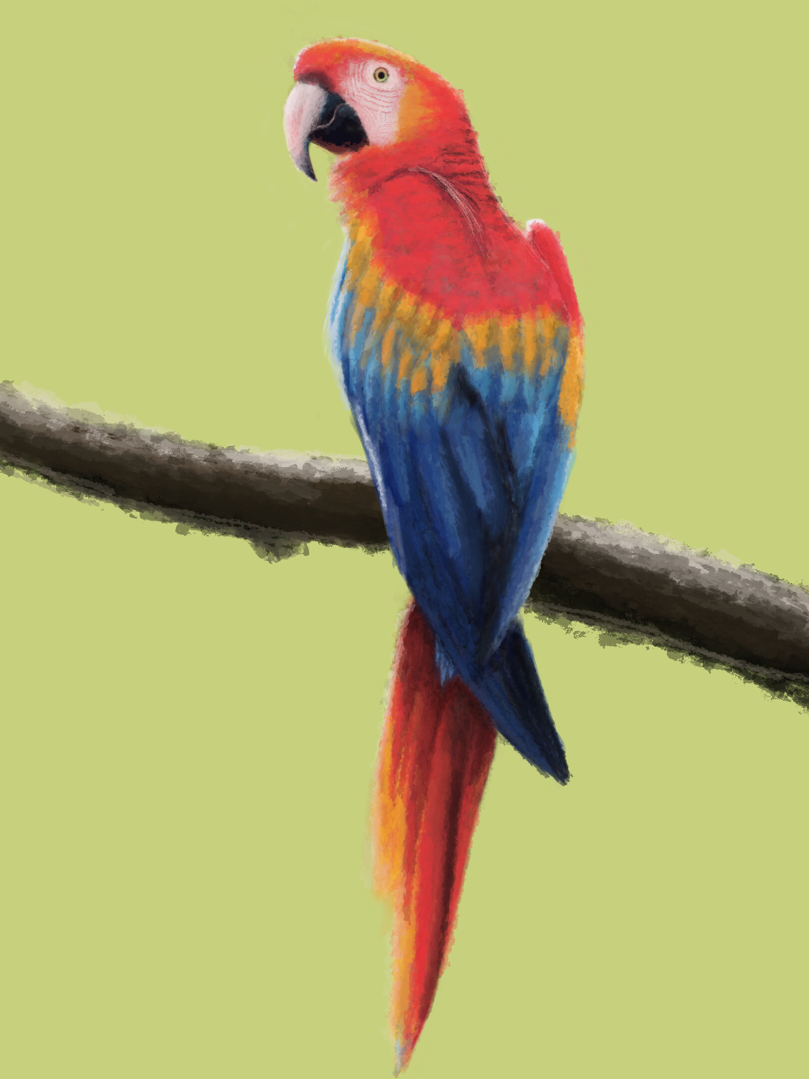 ArtStation - 009-2024